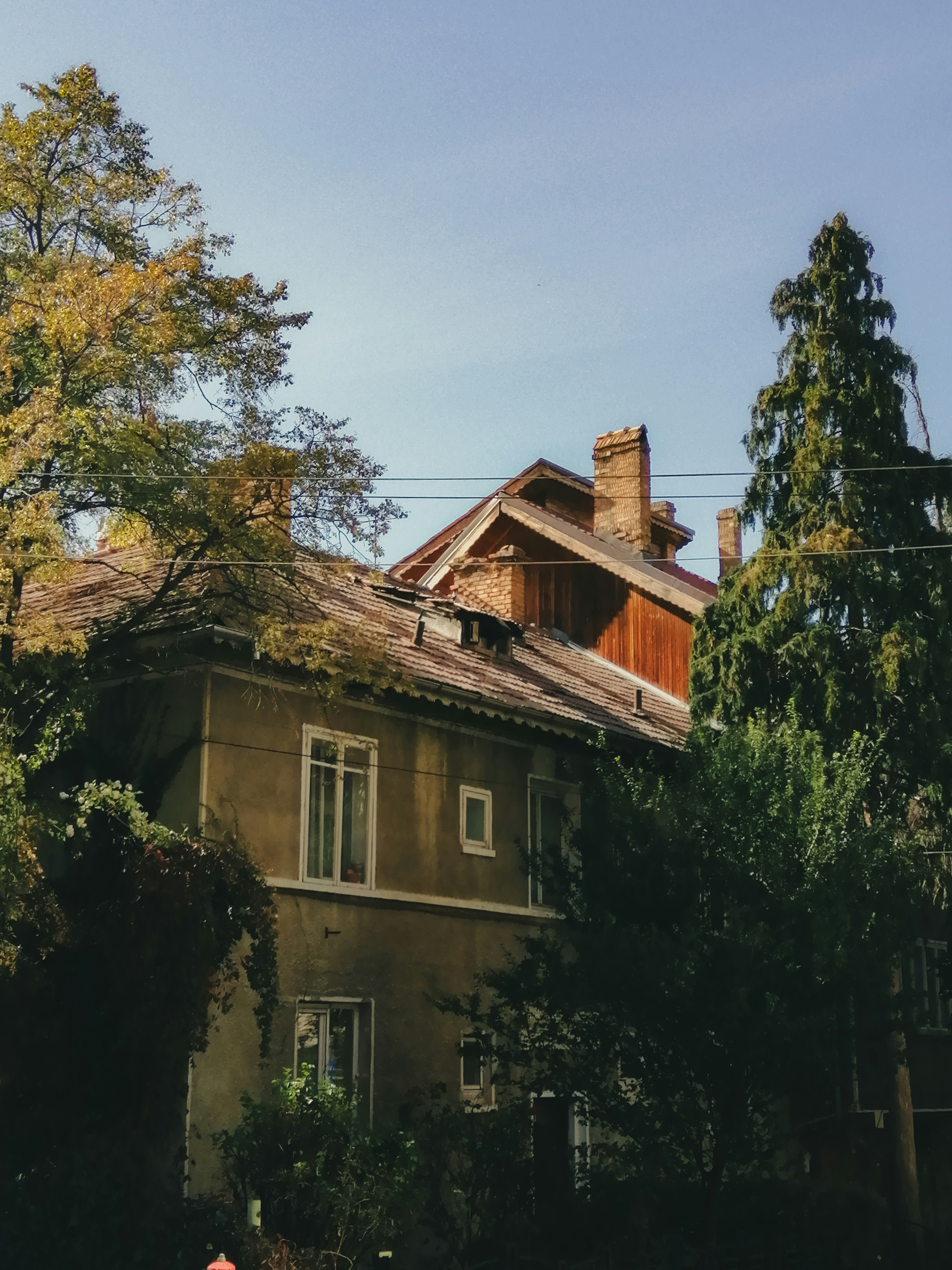 Photo by Michael with Huawei P Smart