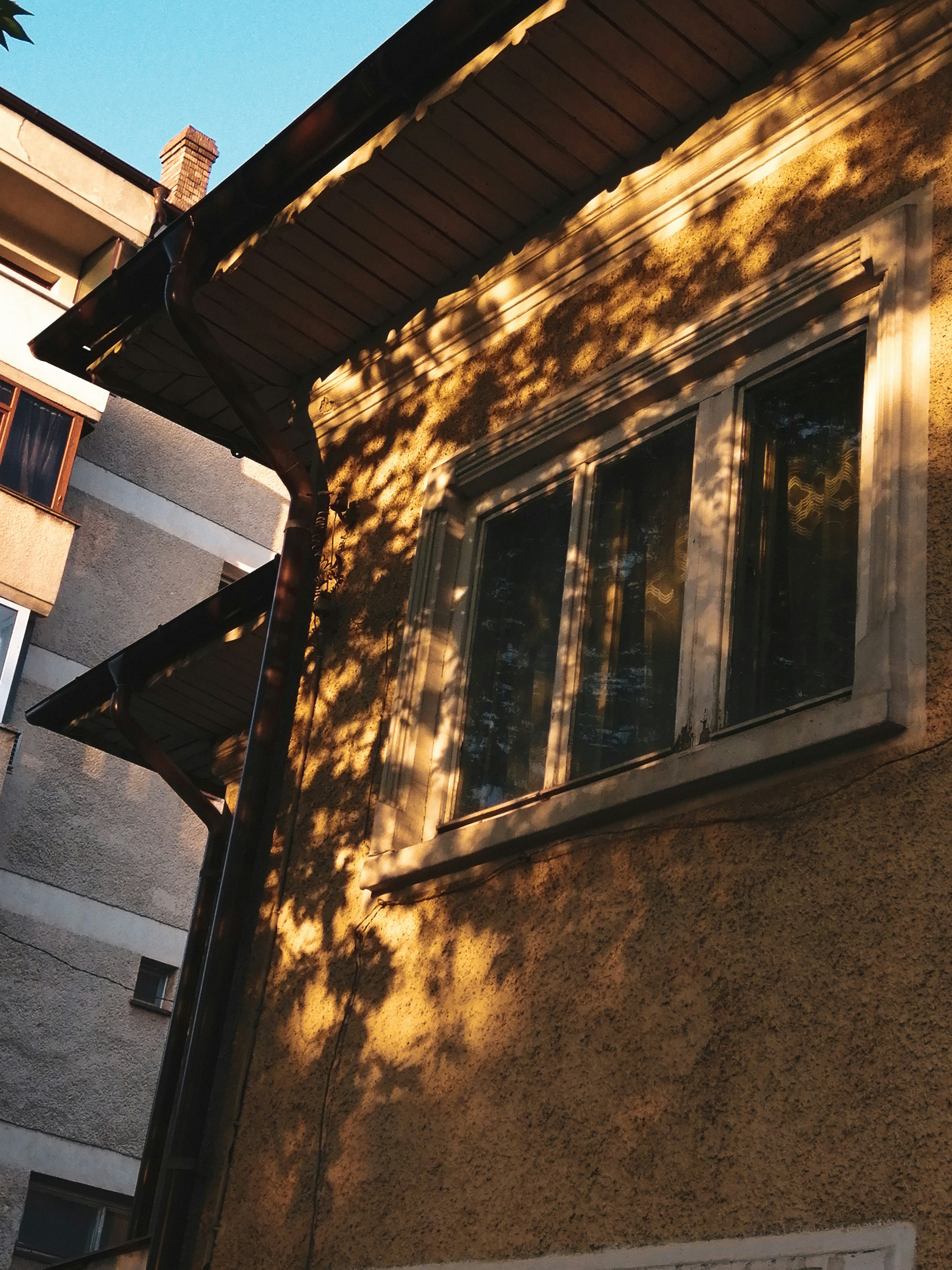 Photo by Michael with Huawei P Smart