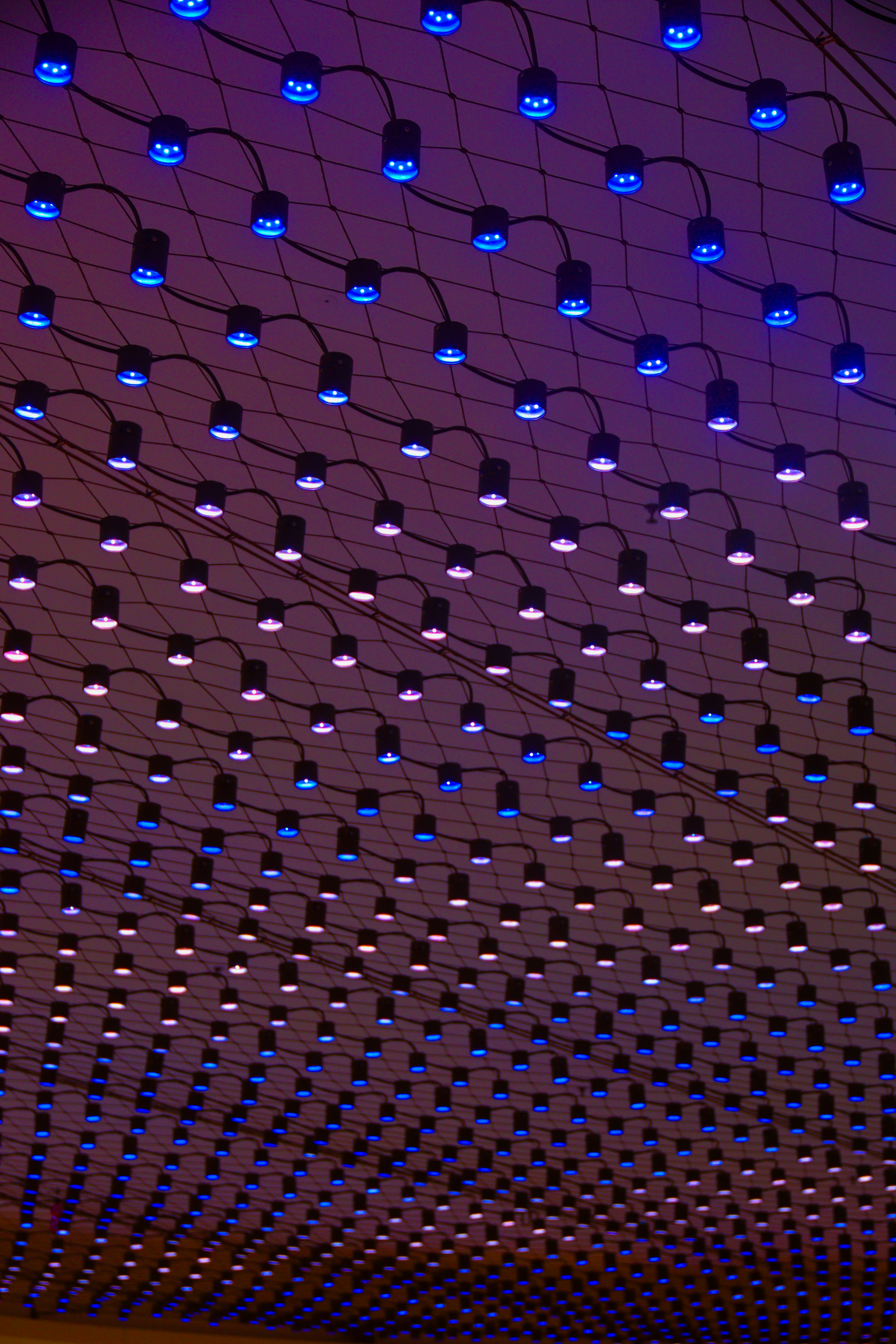A ceiling with blue lights hanging from it photo – Free Stuttgart Image ...