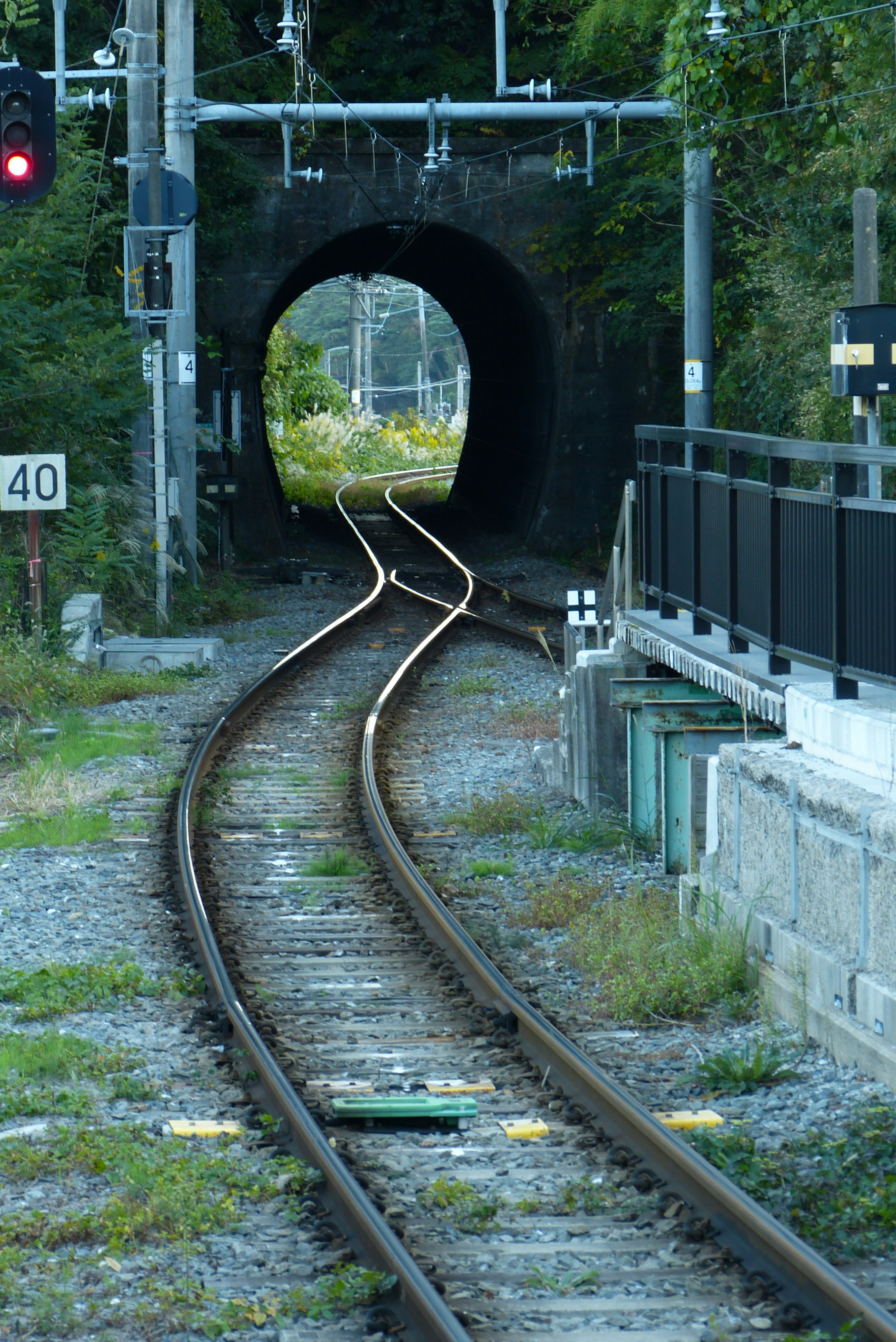 Sample photo from Leica V-Lux 3