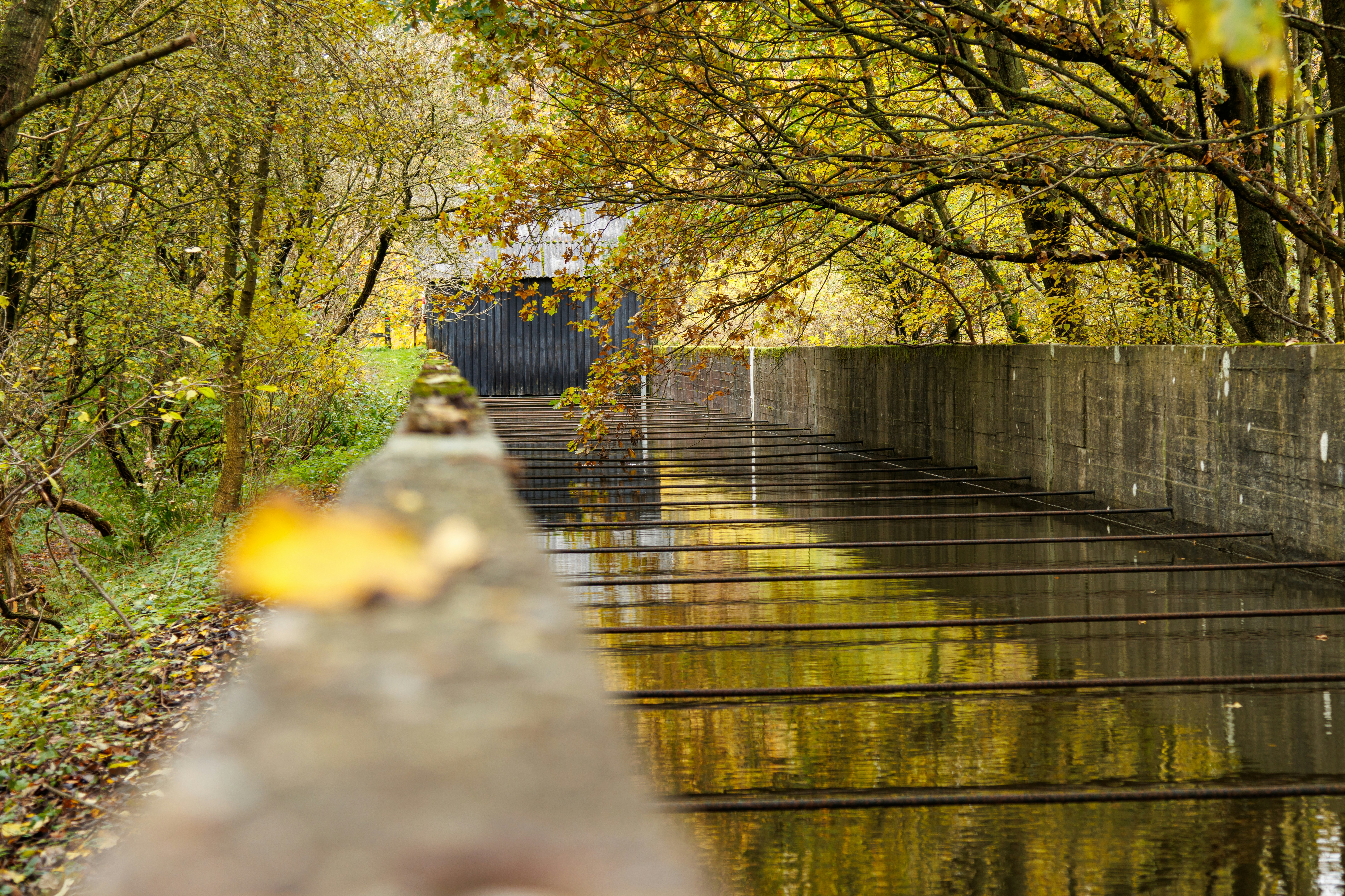 Autumn trees line a canal with still water mirroring the foliage and a low stone wall in the foreground. The scene emphasizes calm, atmospheric light and the receding perspective of the water featured through the barrier.