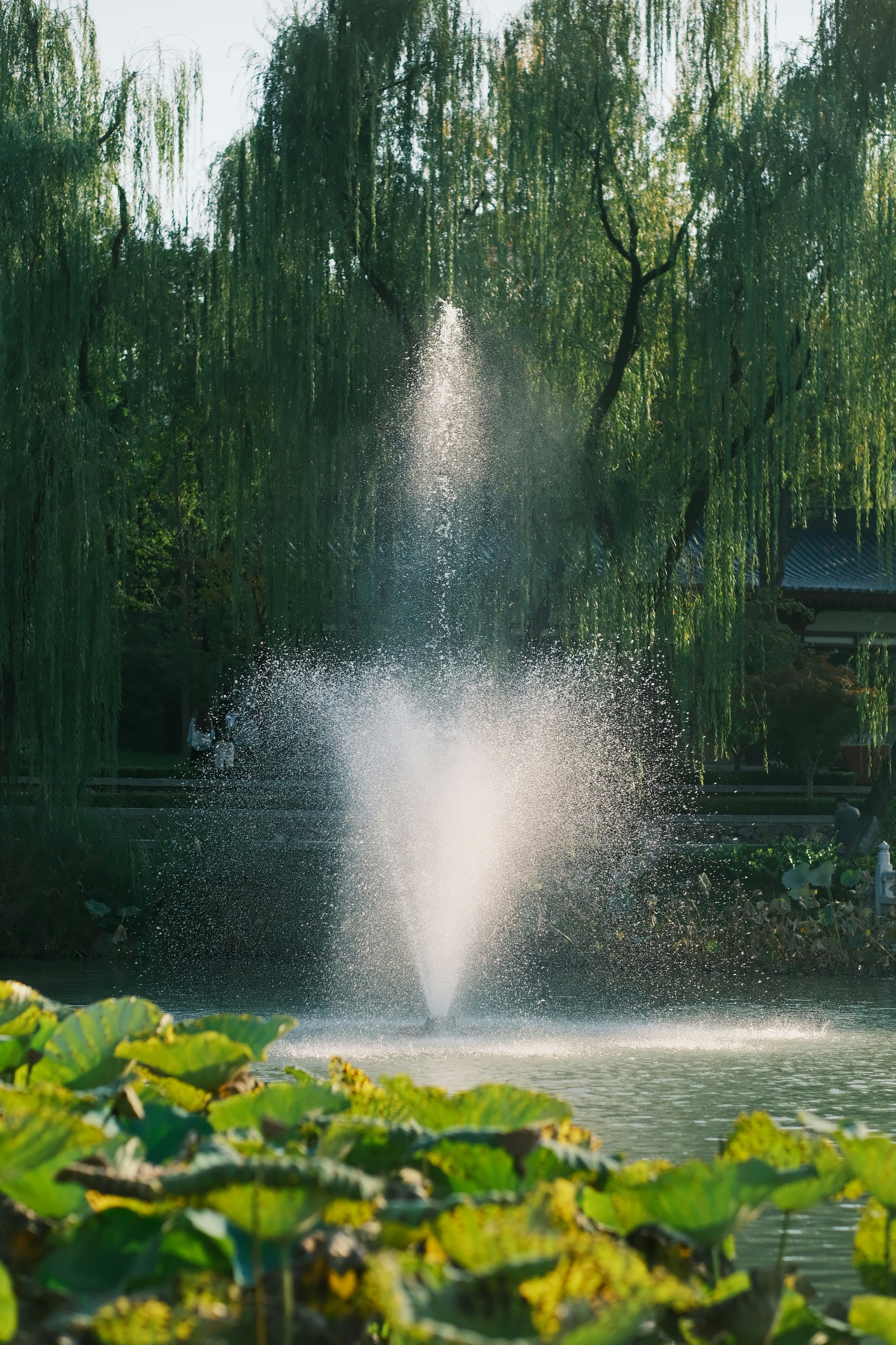 A fountain spewing water into a pond surrounded by trees photo – Free ...