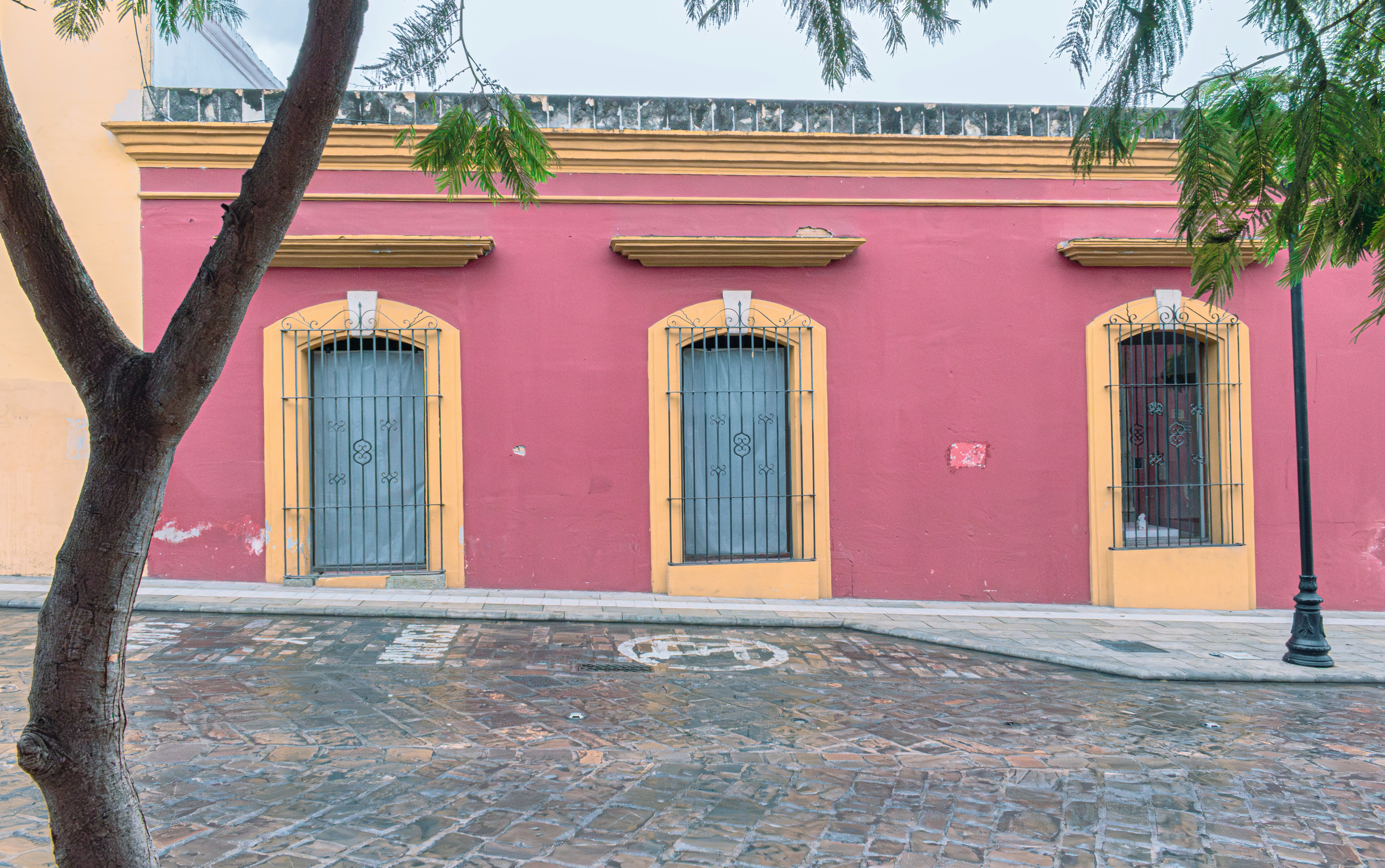 Colorful building with pink walls and yellow-trimmed windows on a cobblestone street, framed by a tree.