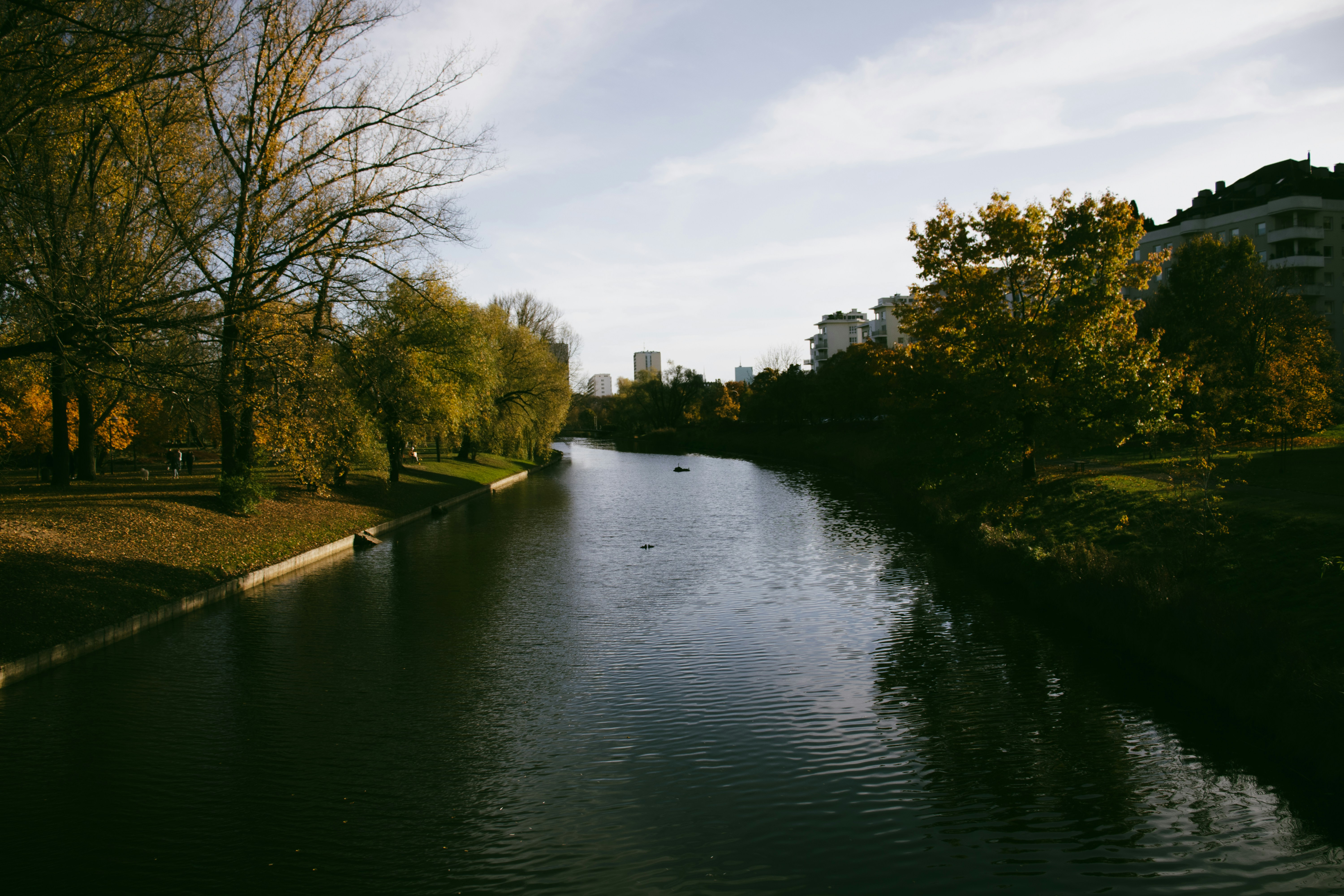 Photo by Andrey Volk with Canon EOS 250D