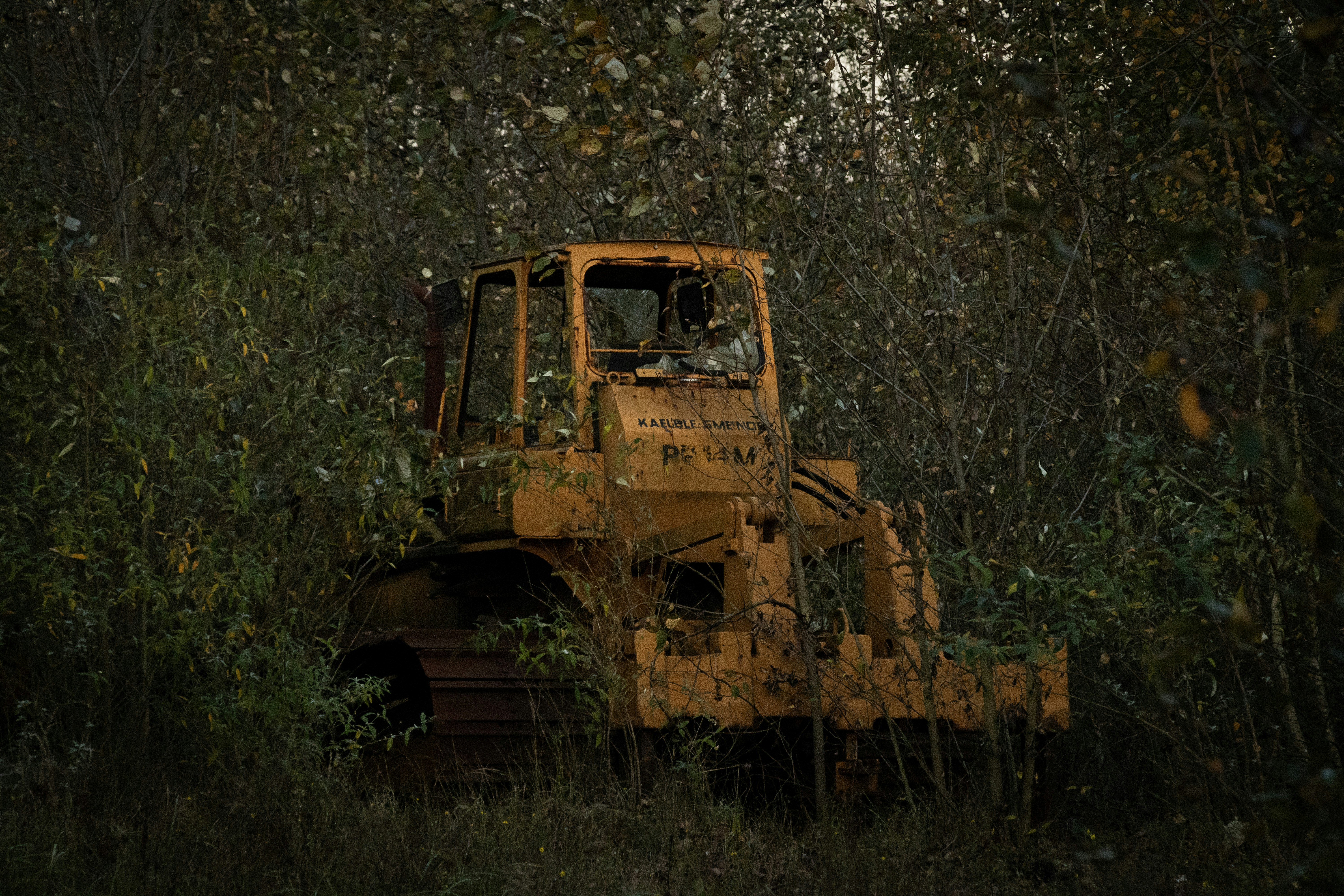 Photo by Sorin Basangeac with Canon EOS 80D