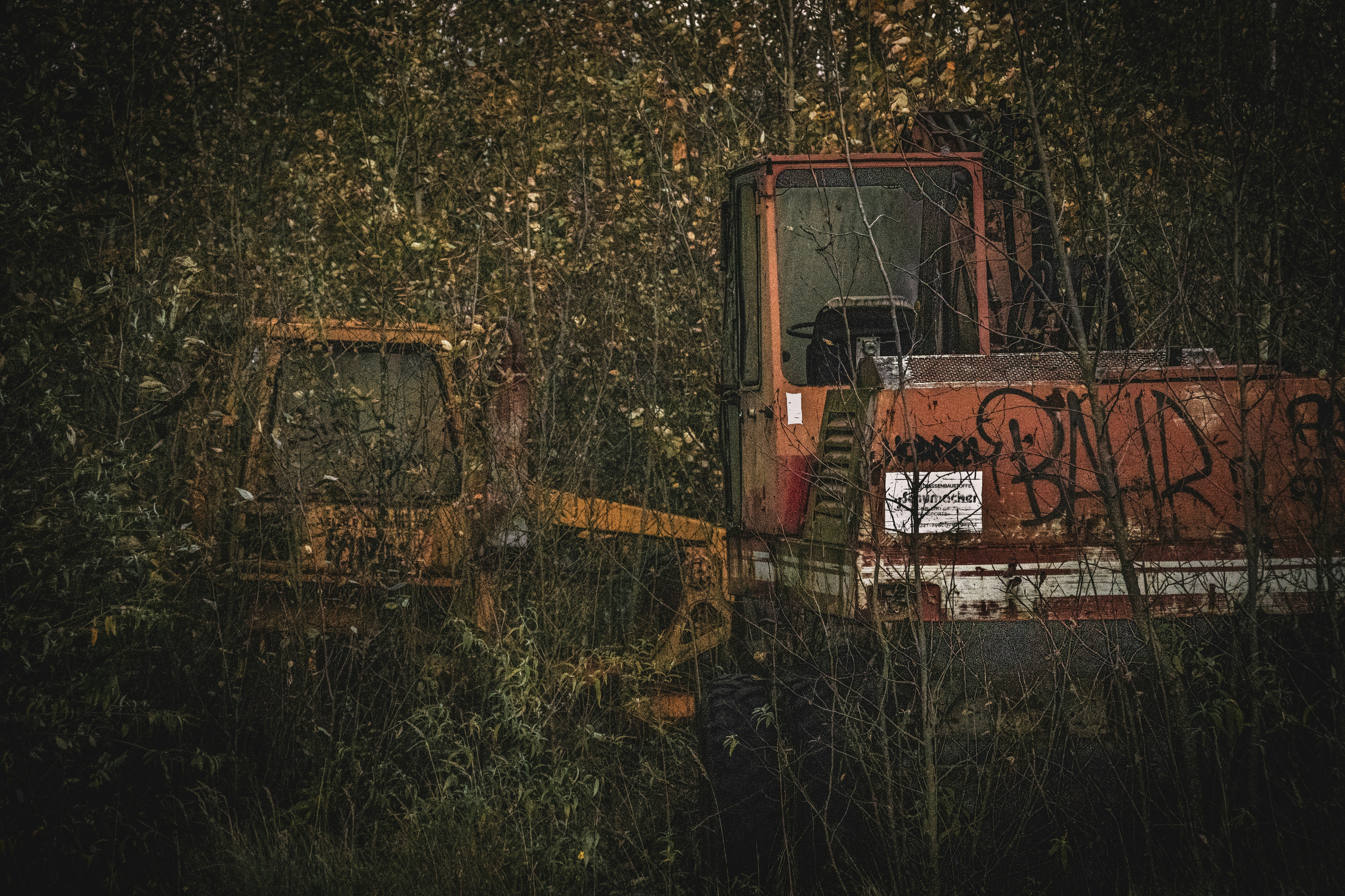 Twilight Relic: A Graffiti-Dusted Excavator Veiled by Vines
