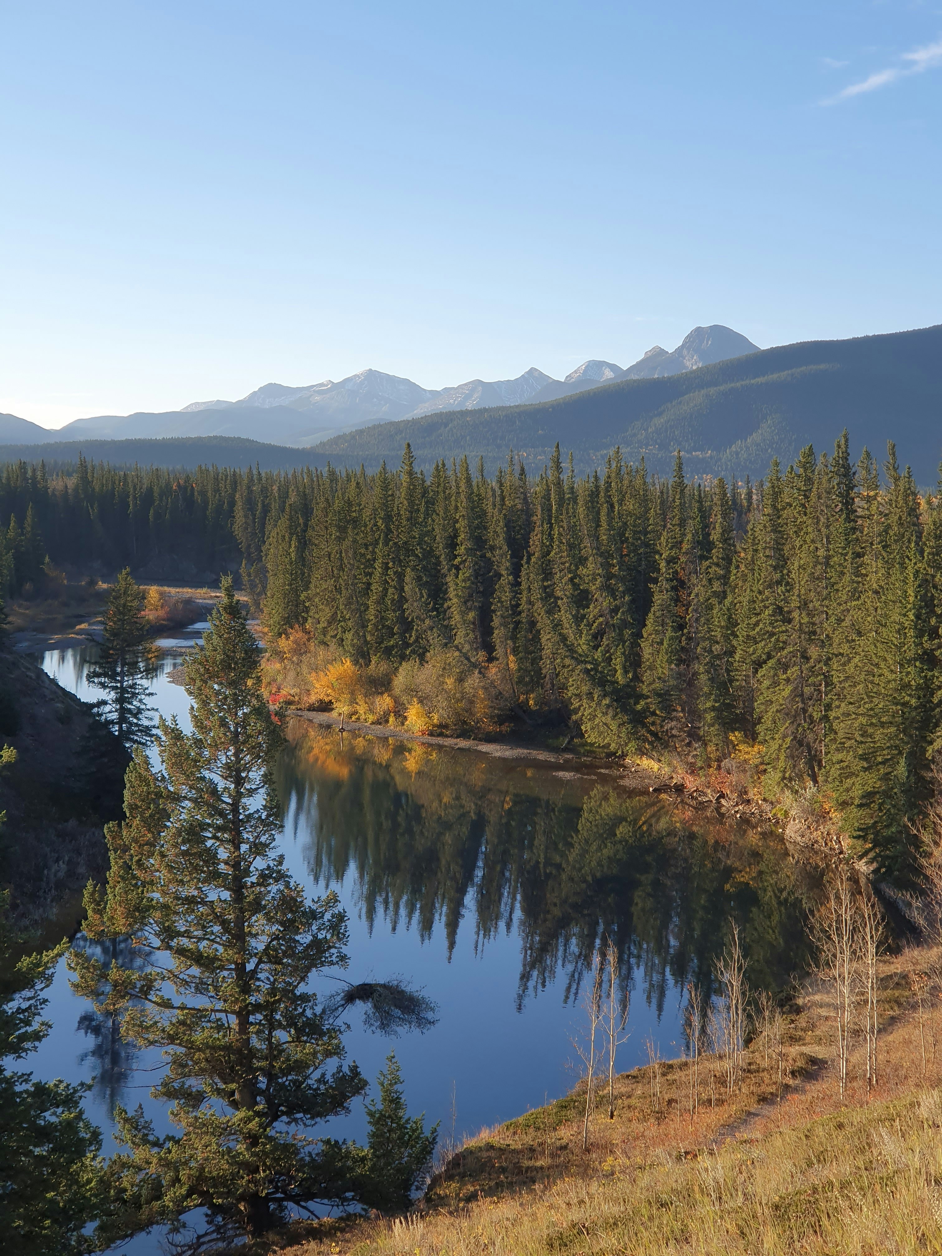 Alpine Mirror: Pines, River, and Distant Peaks
