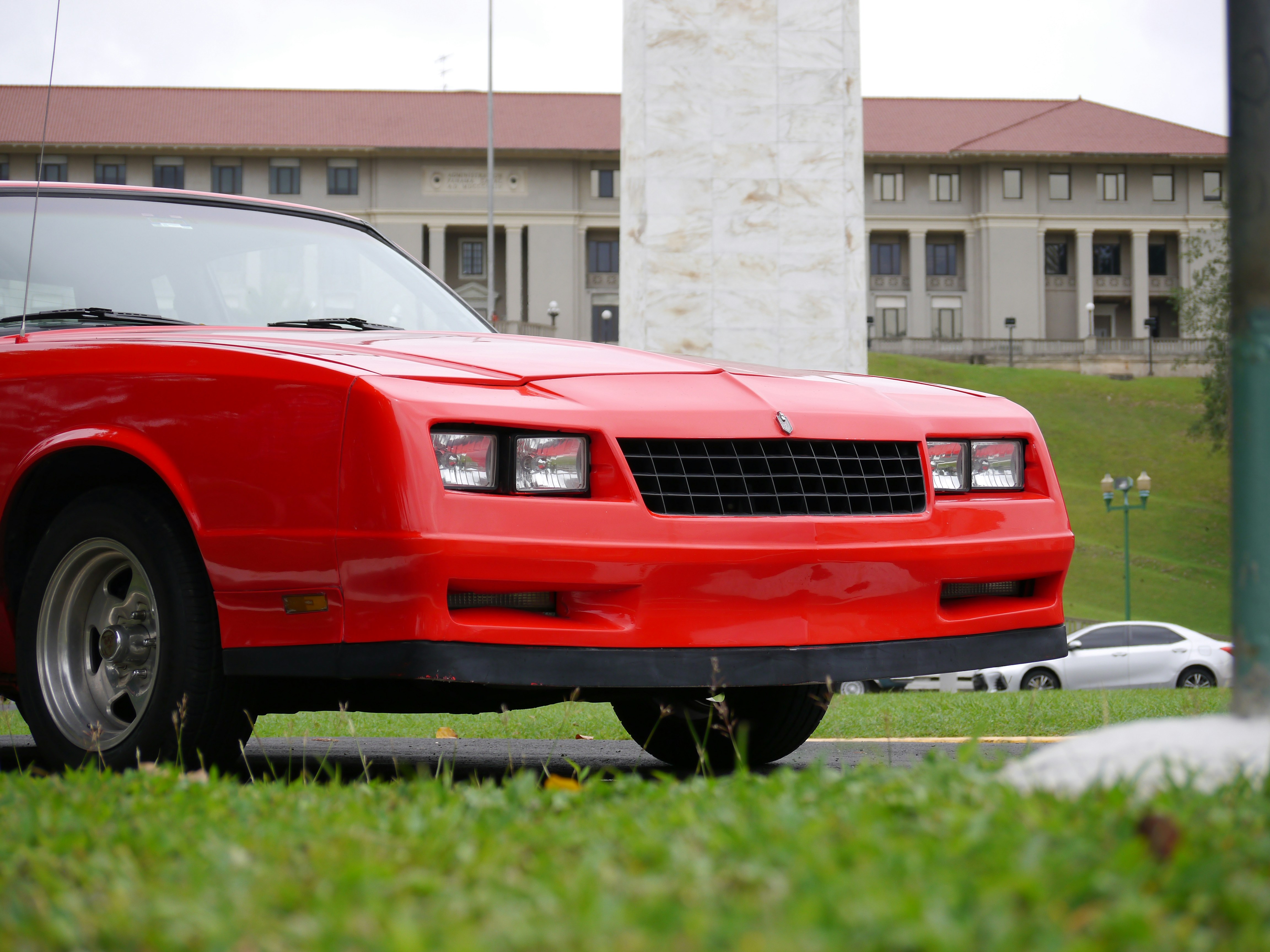 Red Muscle Car Front Portrait on a Park Lawn
