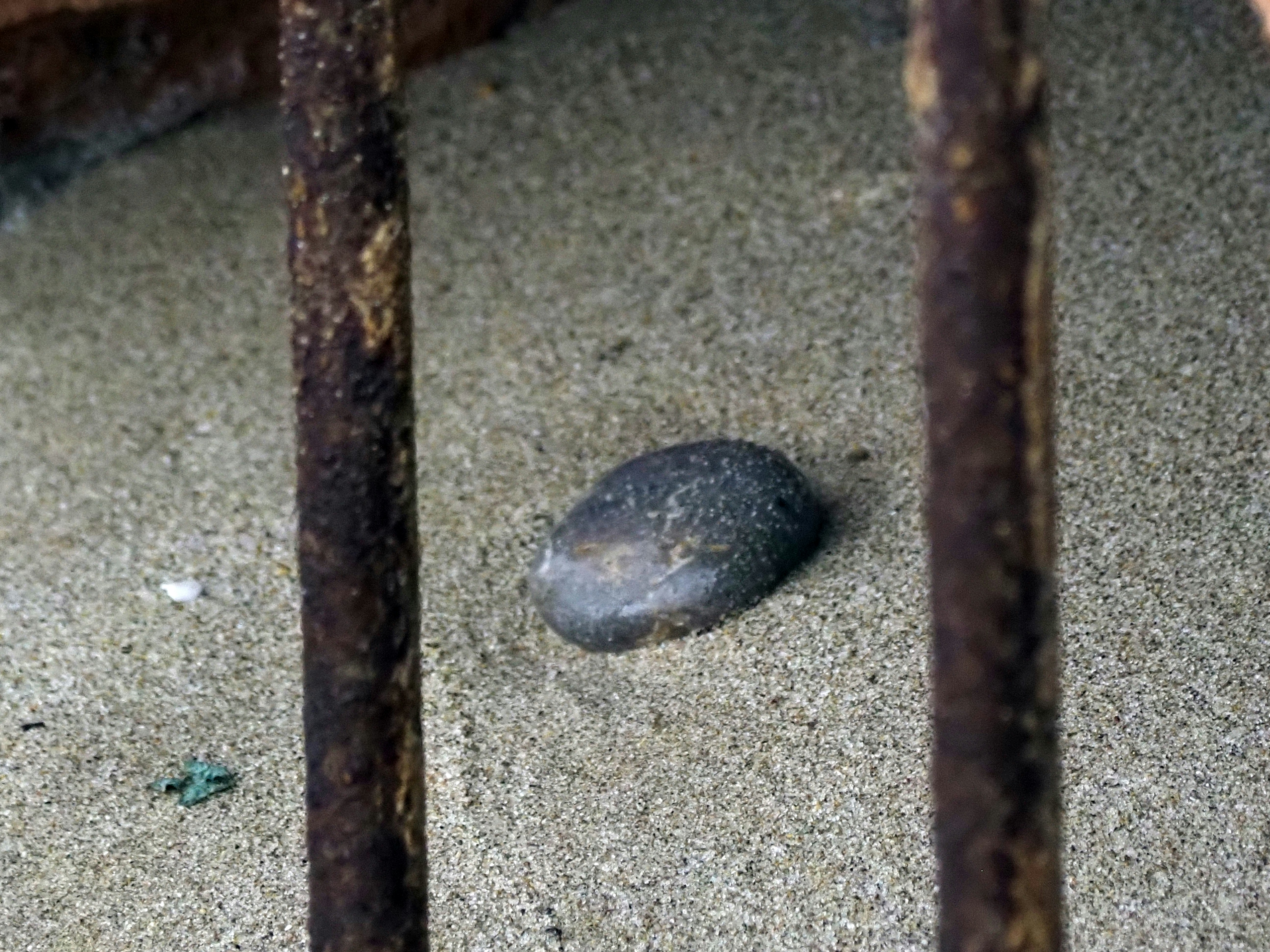 Jade Bell Held Captive In Hastings Ny Pictures | Download Free Images ...