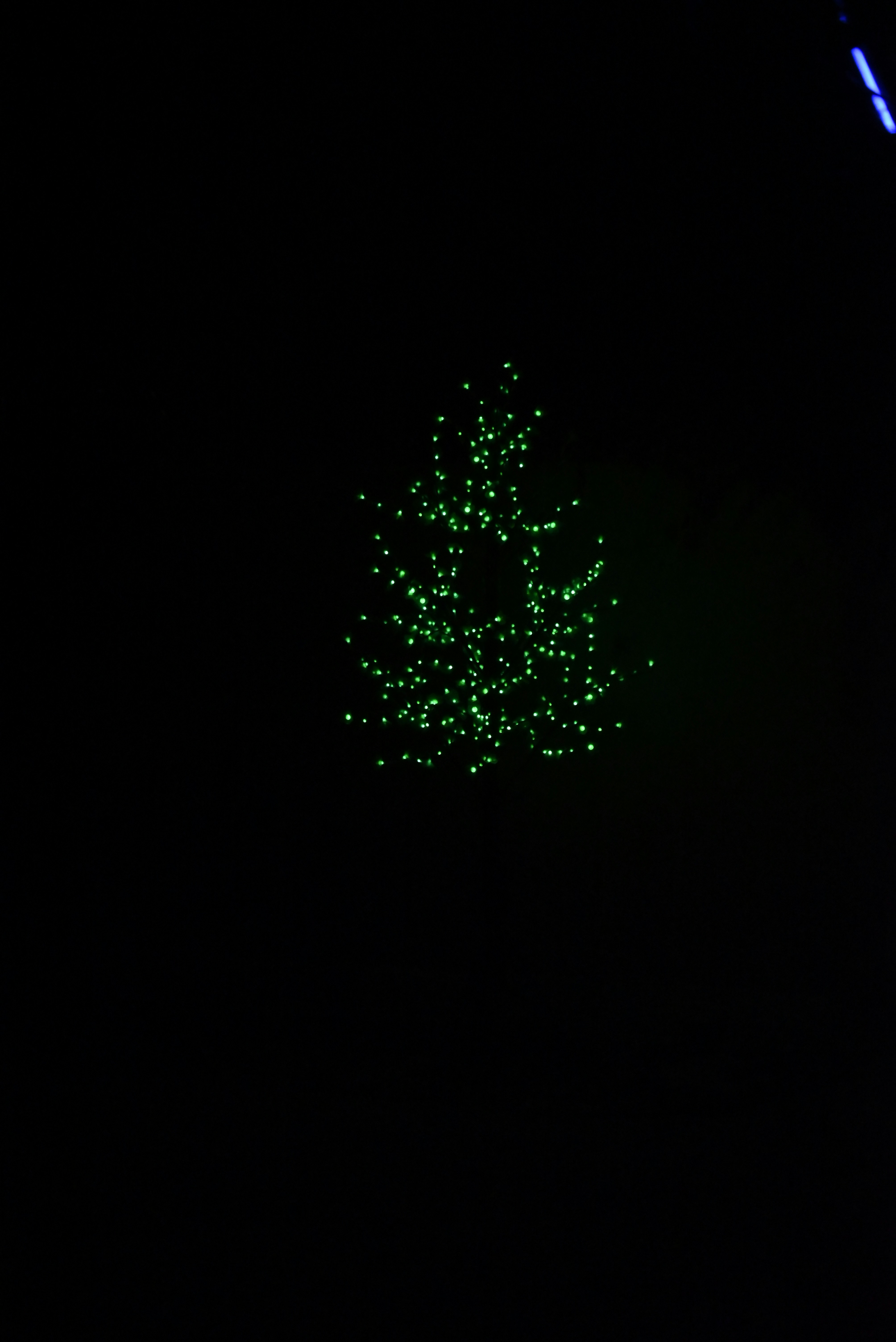 Emerald Dots Tree: Minimal Night-Display of Light