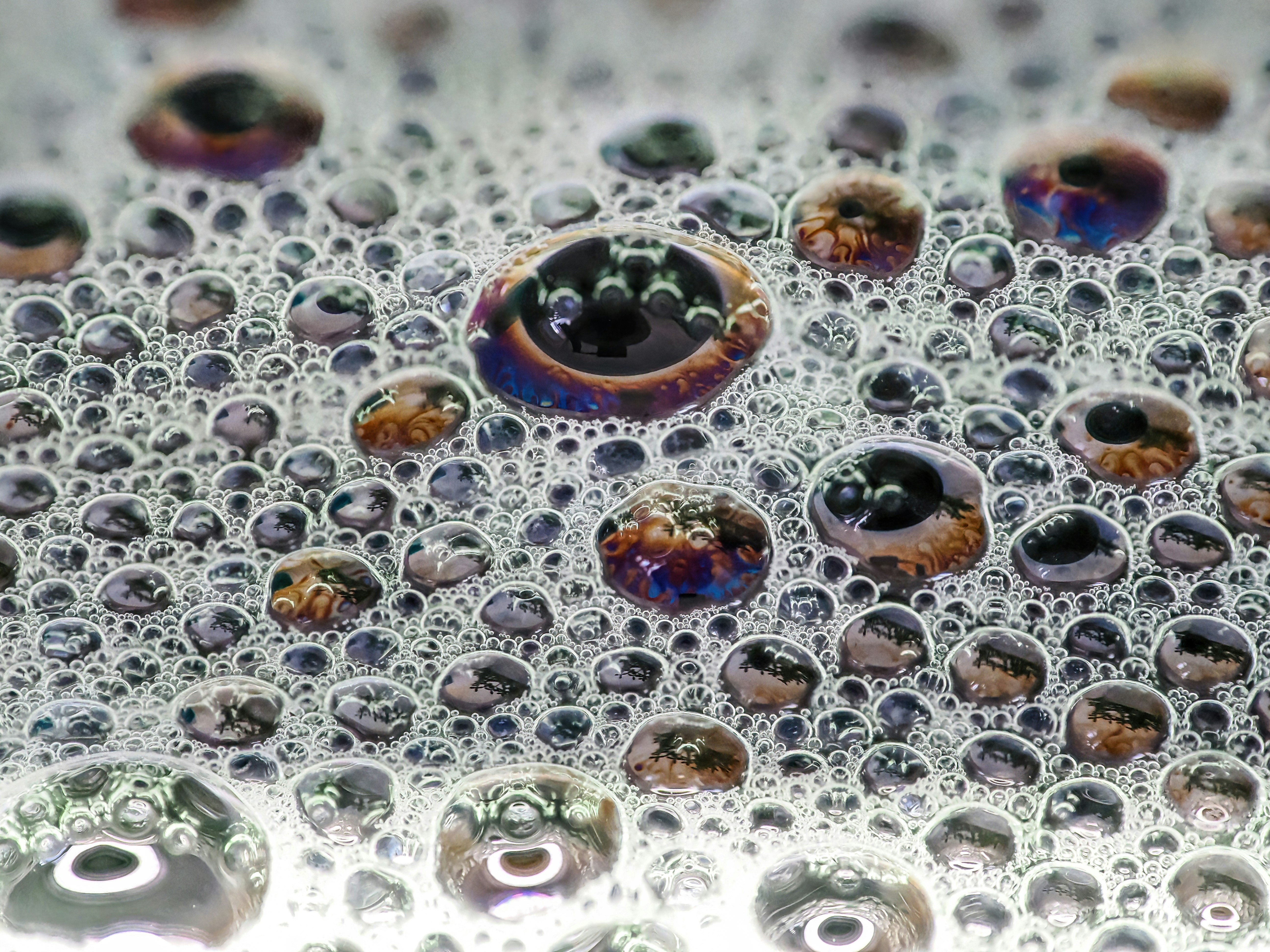 Iridescent Bubbles: A Macro Portrait of Liquid Light