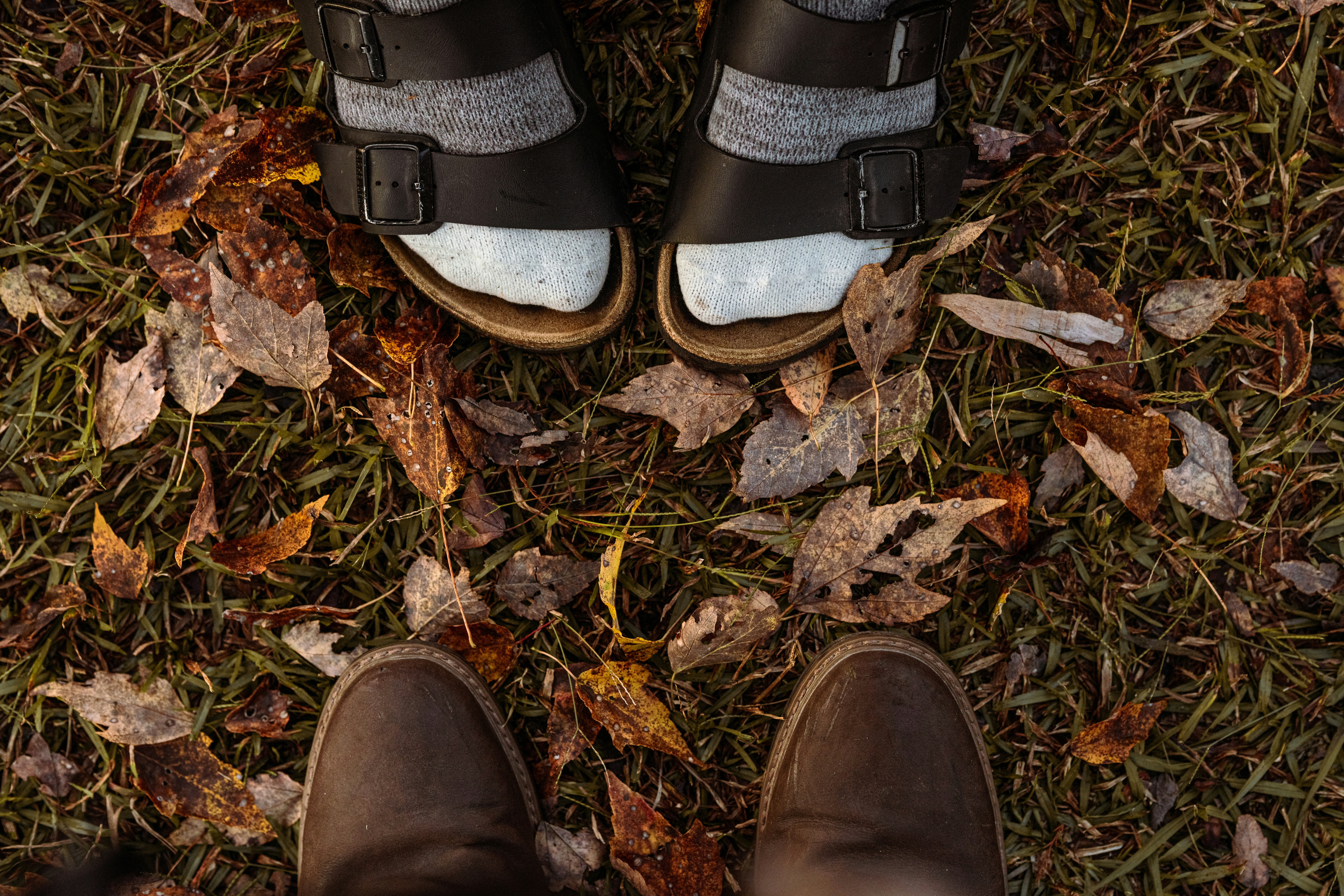 Autumn Convergence: Sandals and Boots on a Leaf-Littered Crossing