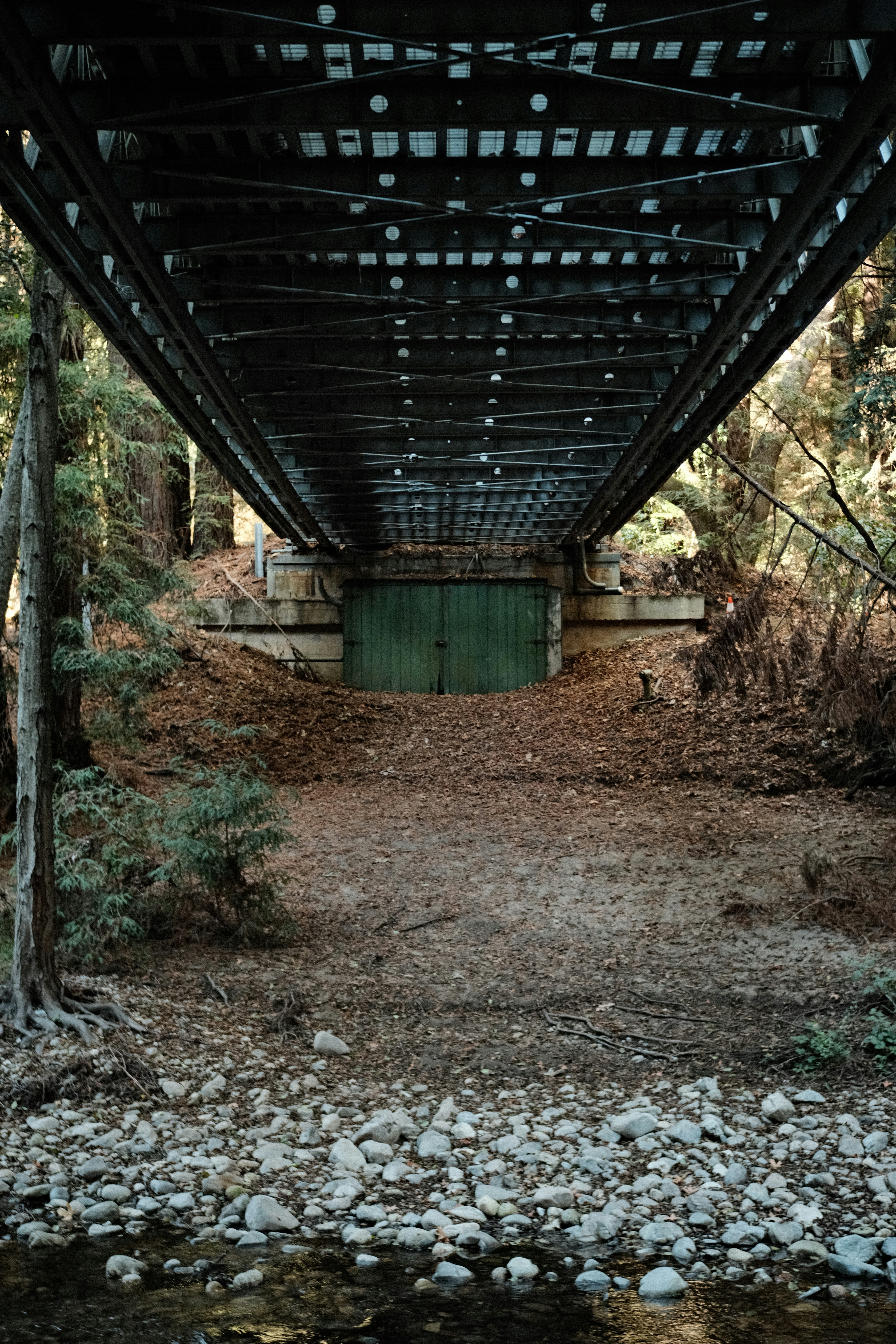 Under the Iron Spine: Green Door at the Forest's Quiet End