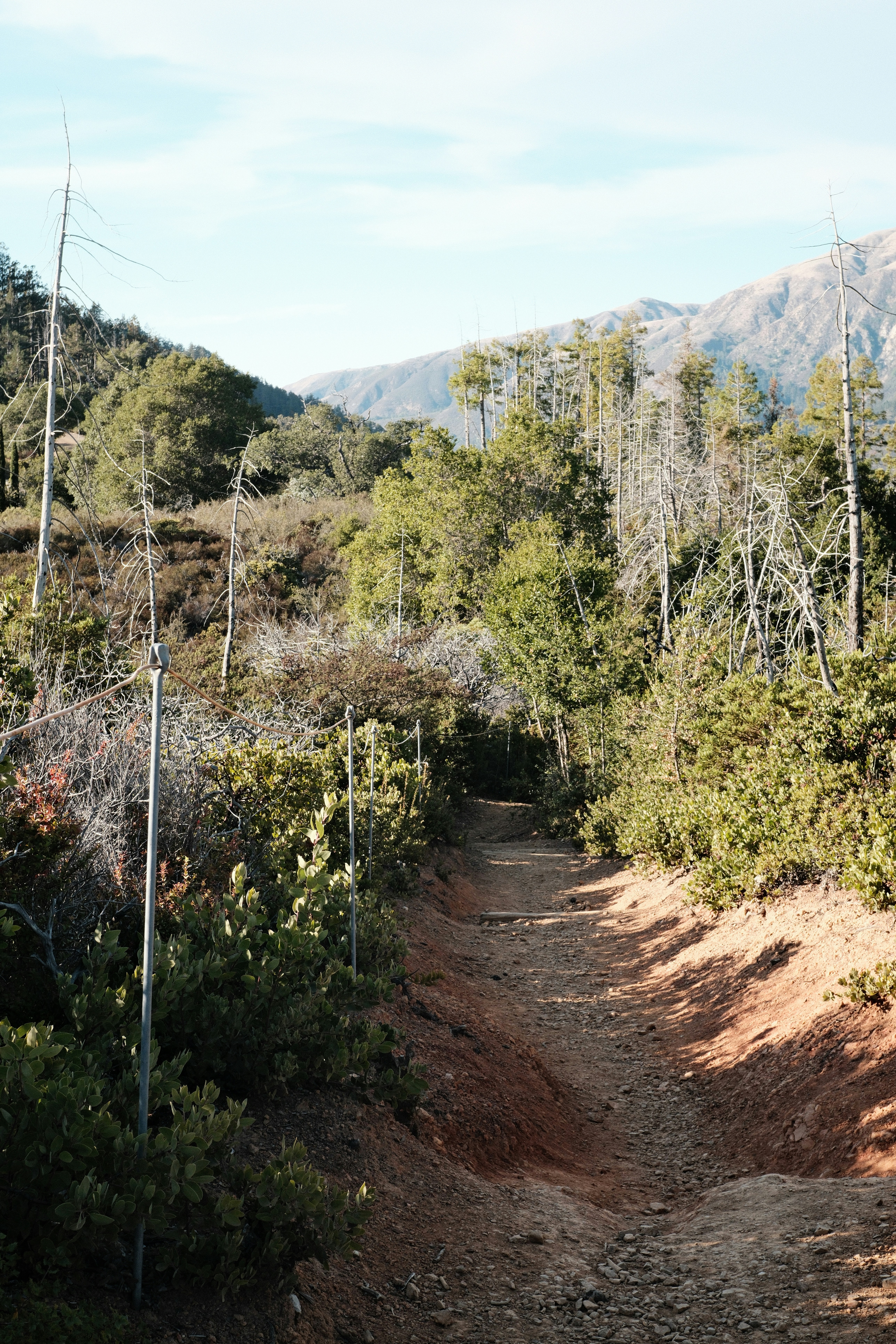 Dirt Trail to the Distant Ridge: Sunlit Scrub and Open Sky