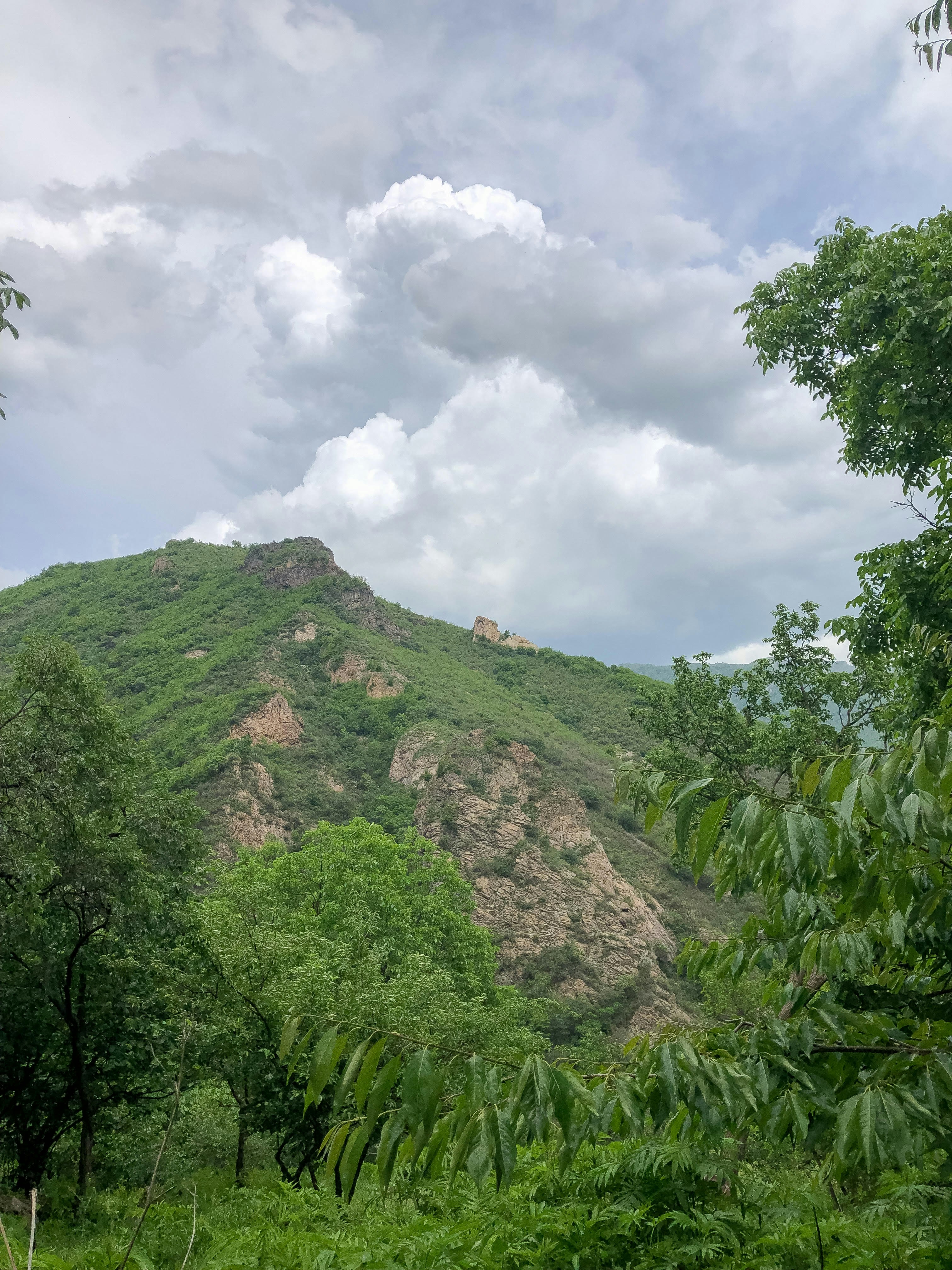 A large hill with trees on the side of it photo – Free Land Image on ...