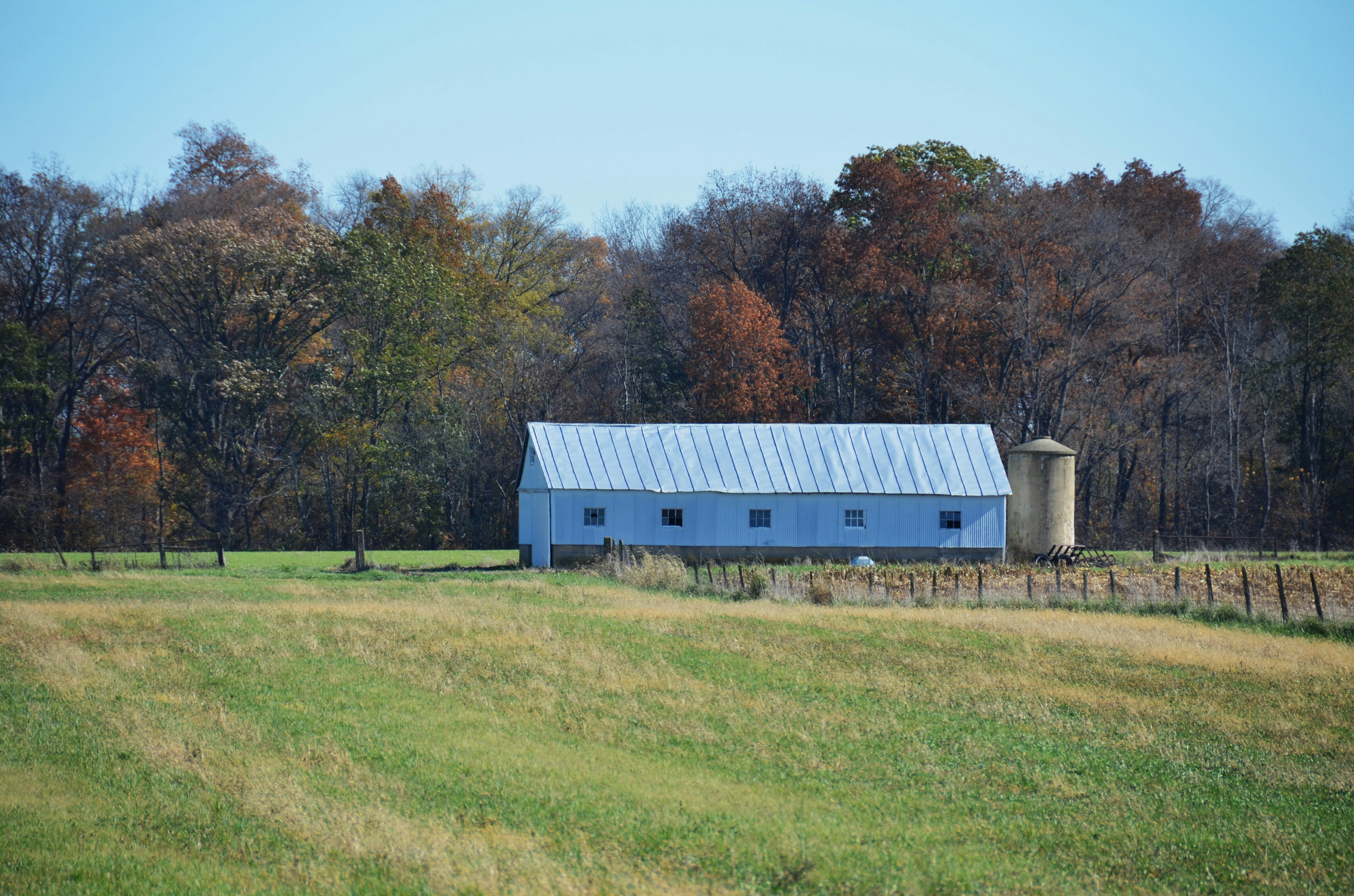 A blue barn in a field with trees in the background photo – Free ...