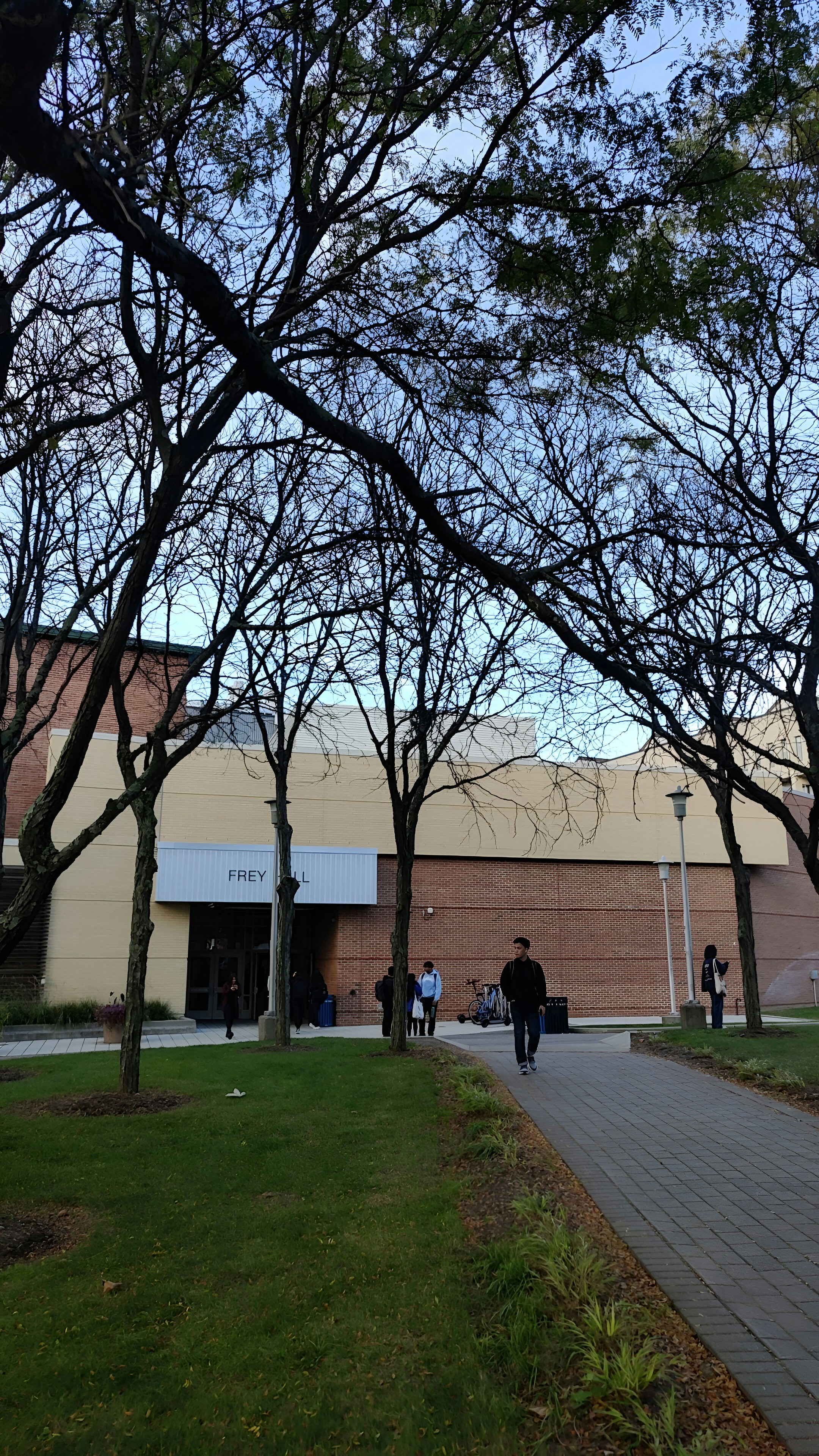 A group of people walking down a sidewalk next to trees photo – Free ...