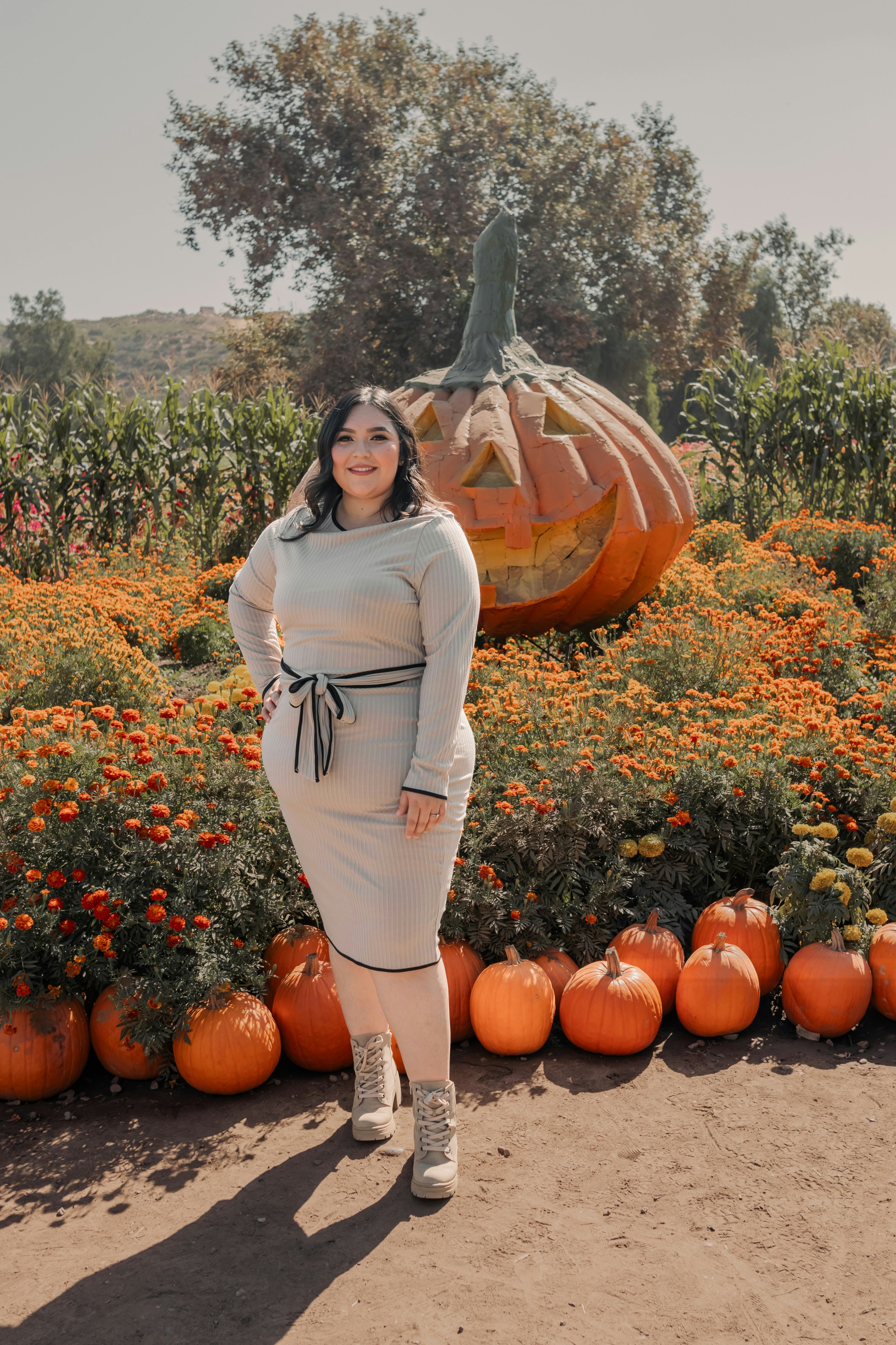 A woman standing in front of a pumpkin patch photo – Free Brown Image ...