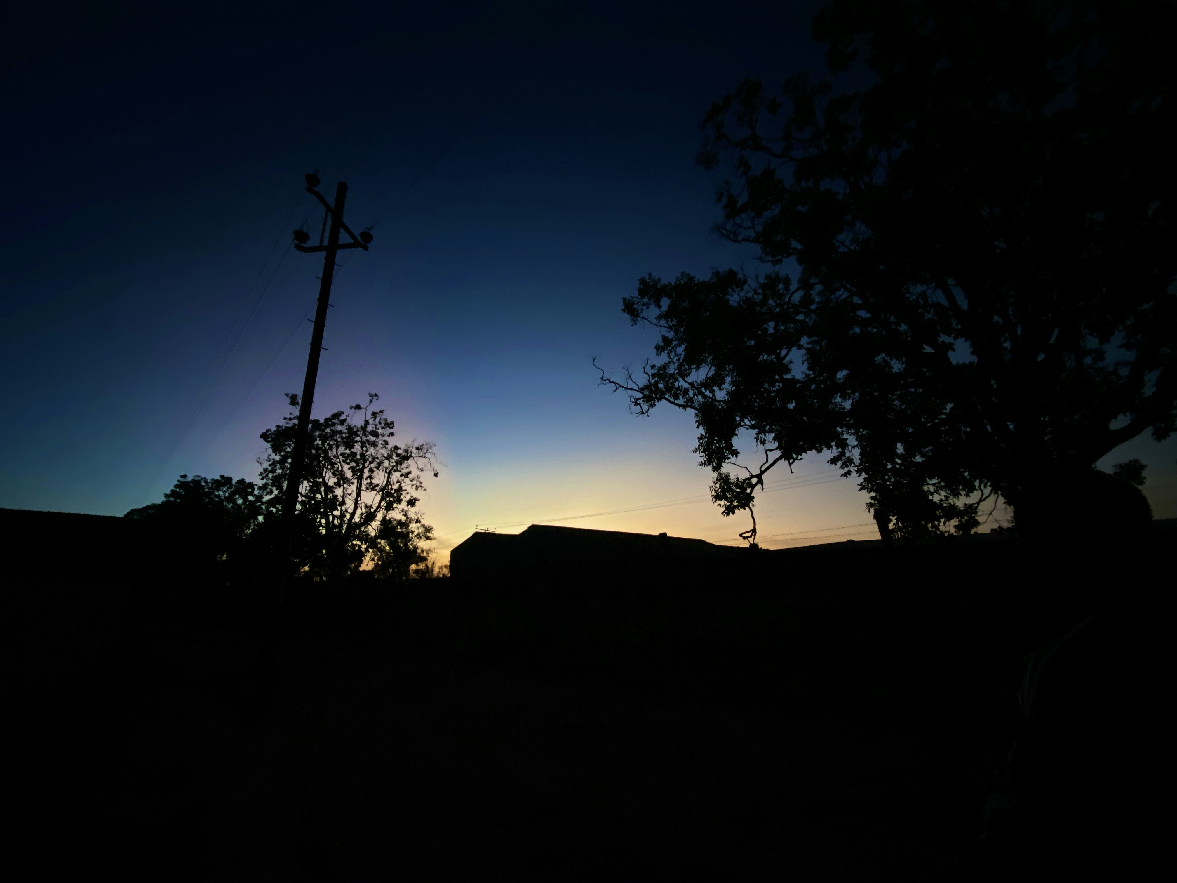 Dusk Gradient Over Silent Rooftops and Tree Silhouettes