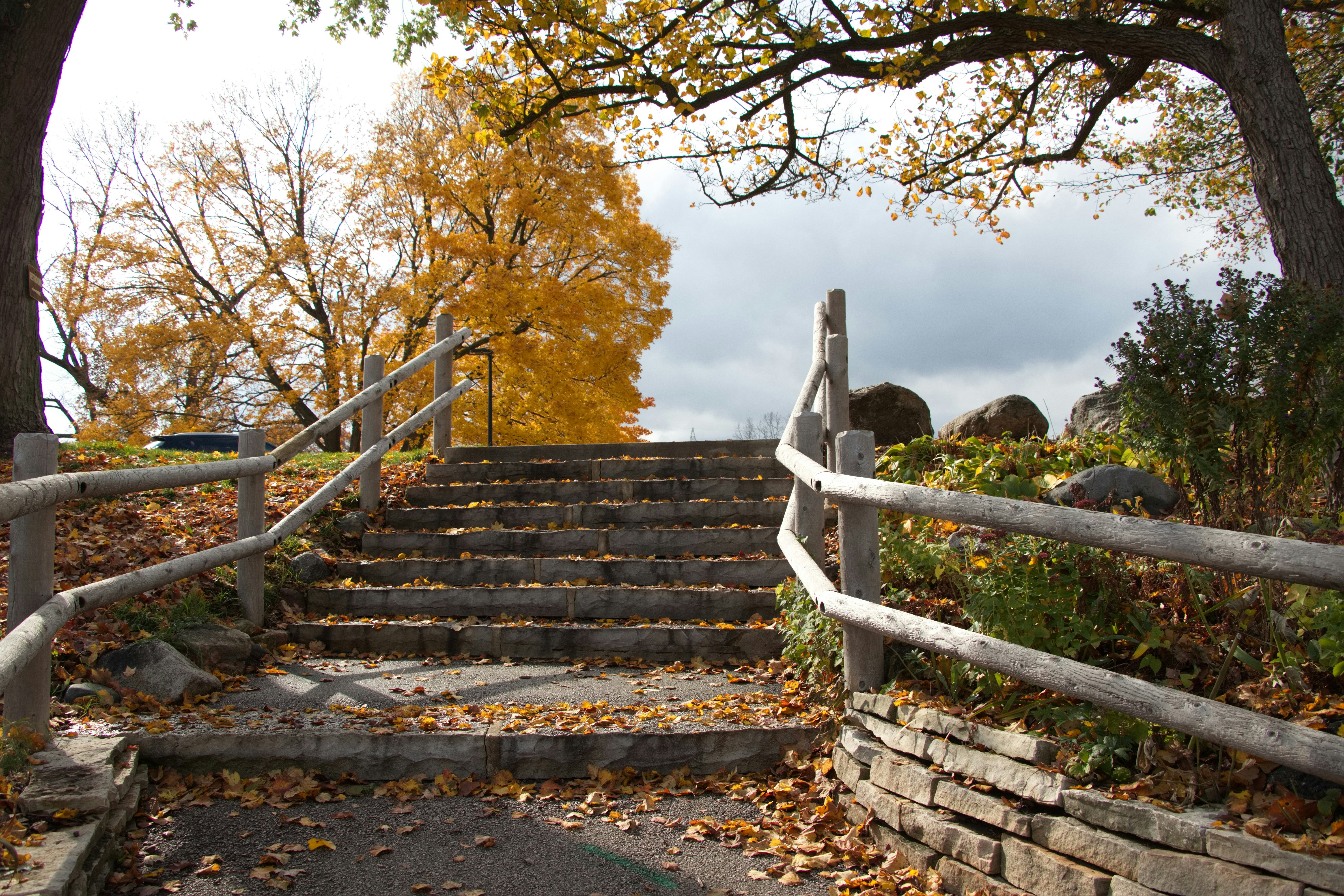 A set of stairs leading up to the top of a hill photo – Free Railing ...