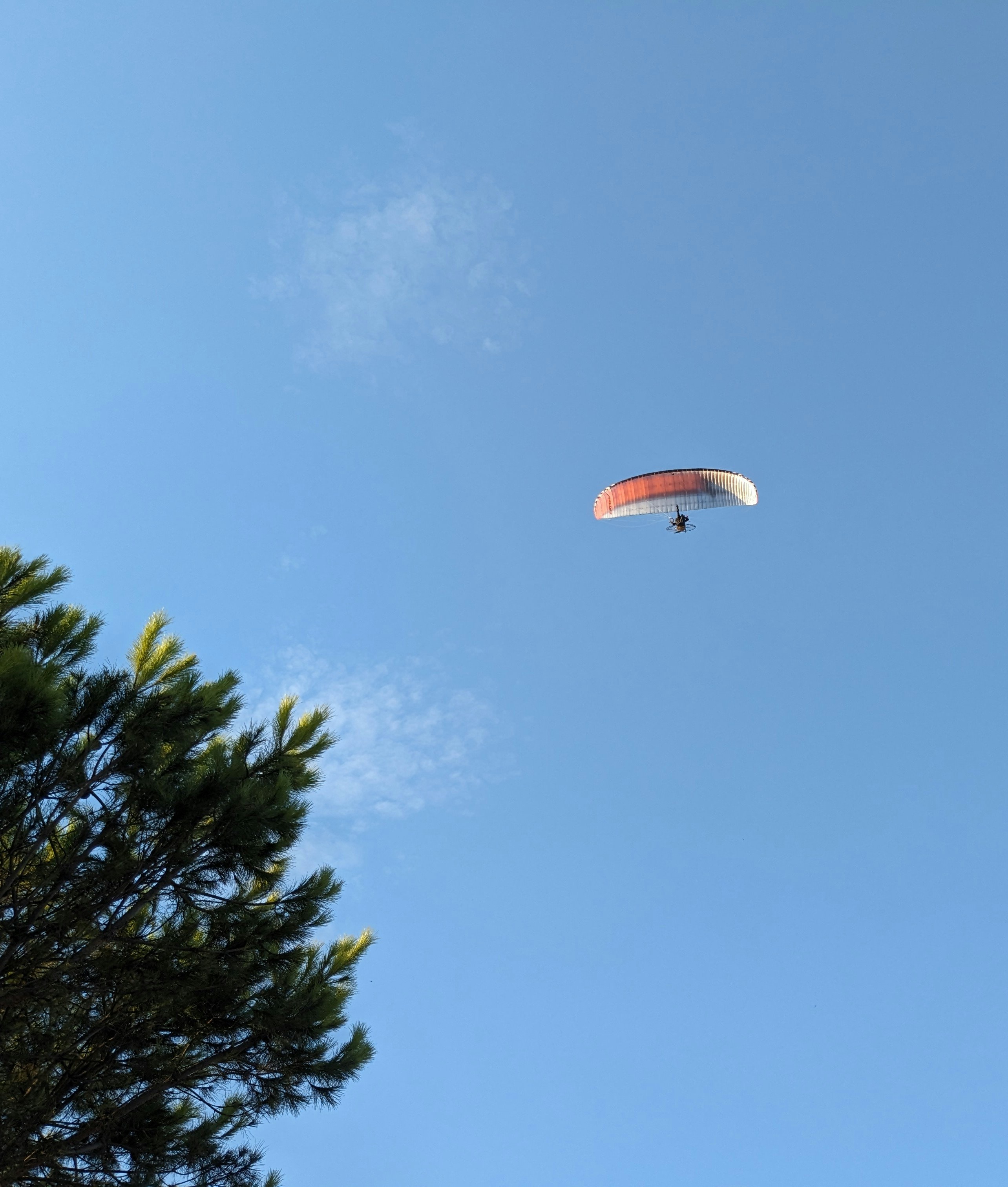 Crimson-White Paraglider Drifts Across a Cerulean Sky