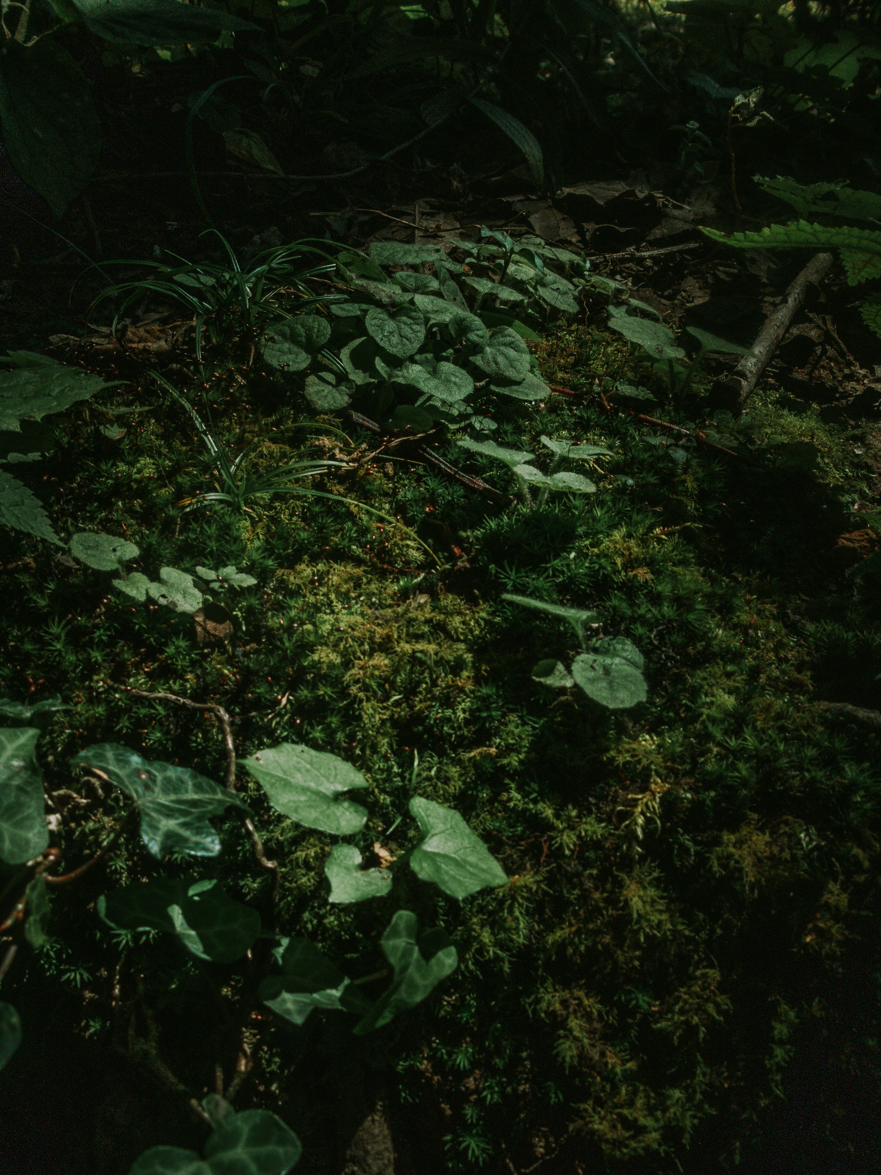 Photo by Harkirt singh with Canon PowerShot G9