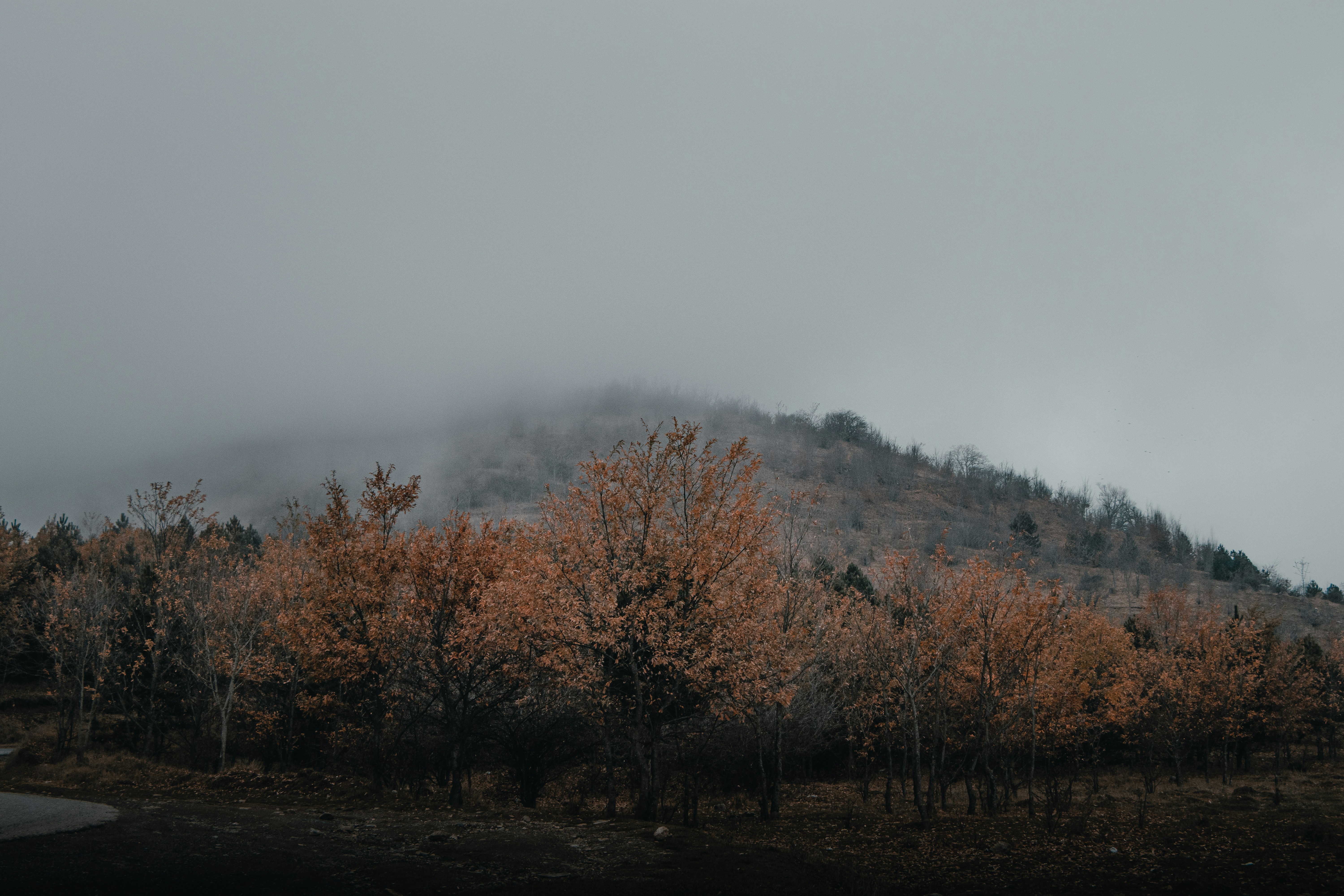 Mist Drapes the Autumn Ridge Under a Quiet Sky