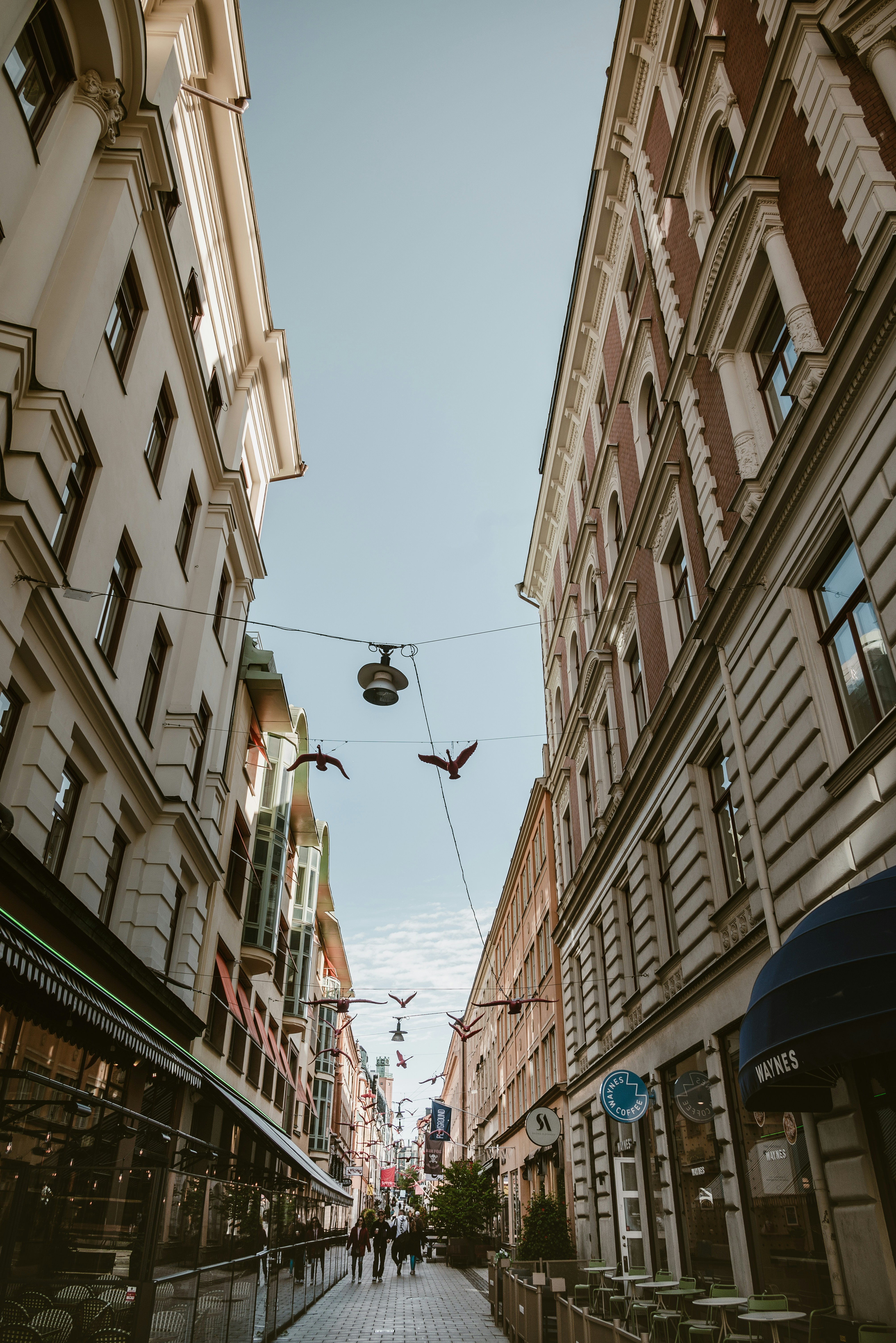 Skyward Street: Birds, Buoyed by Balcony-lined Architecture