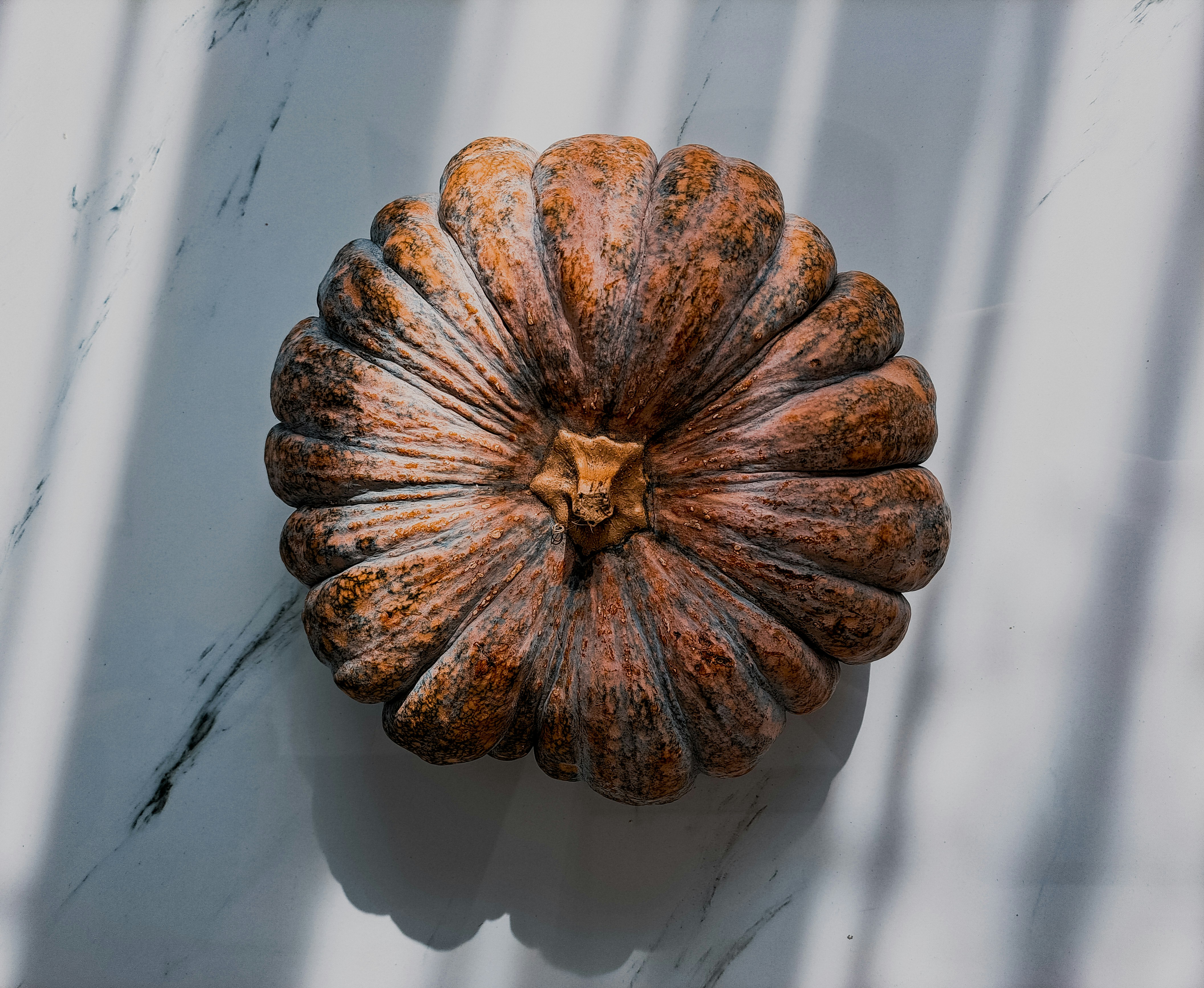 Ribbed Rust Pumpkin on Marble Under Striped Shadow