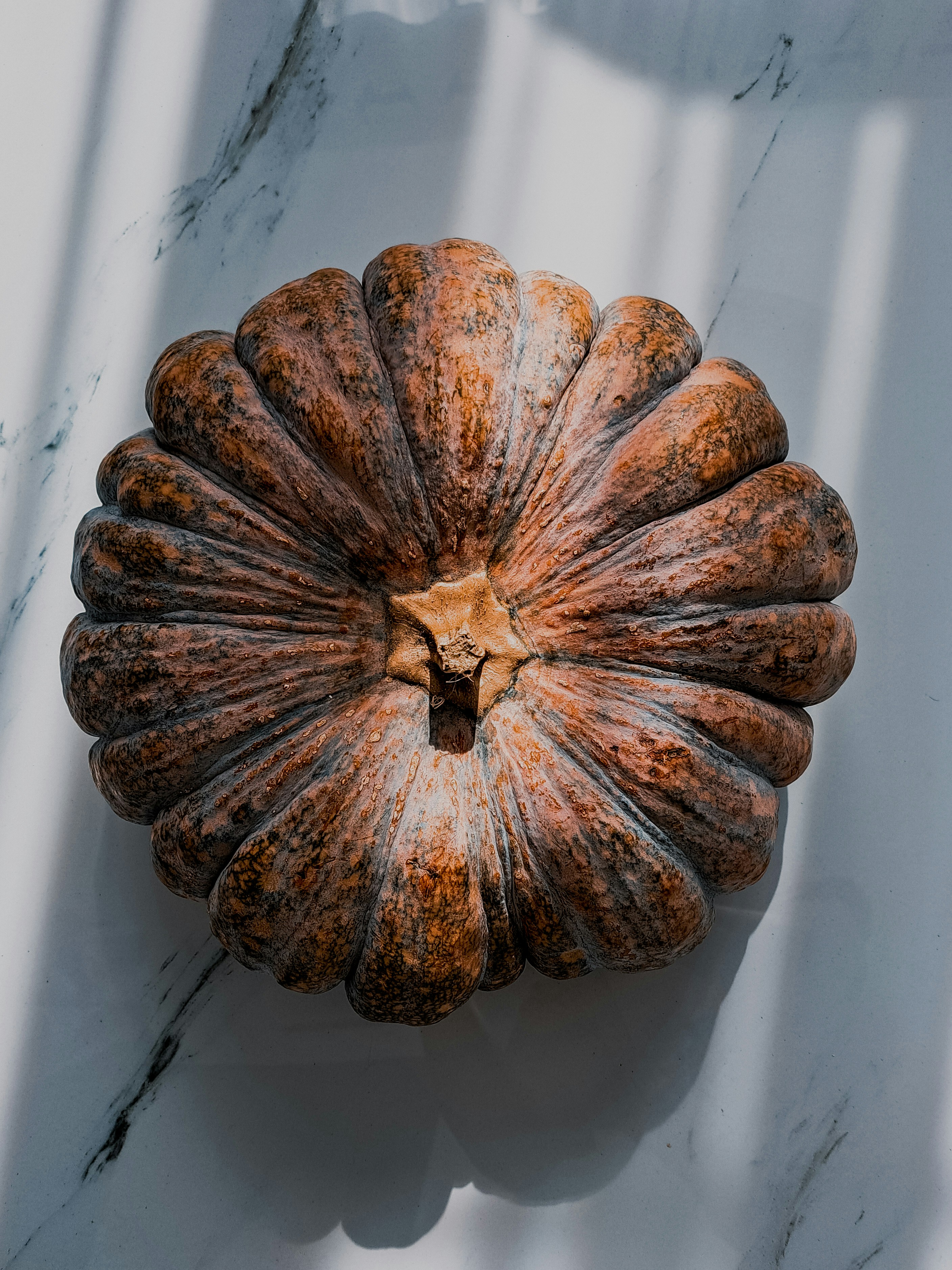Rust-Spoked Pumpkin on Veined Marble: A Quiet Study in Texture and Light