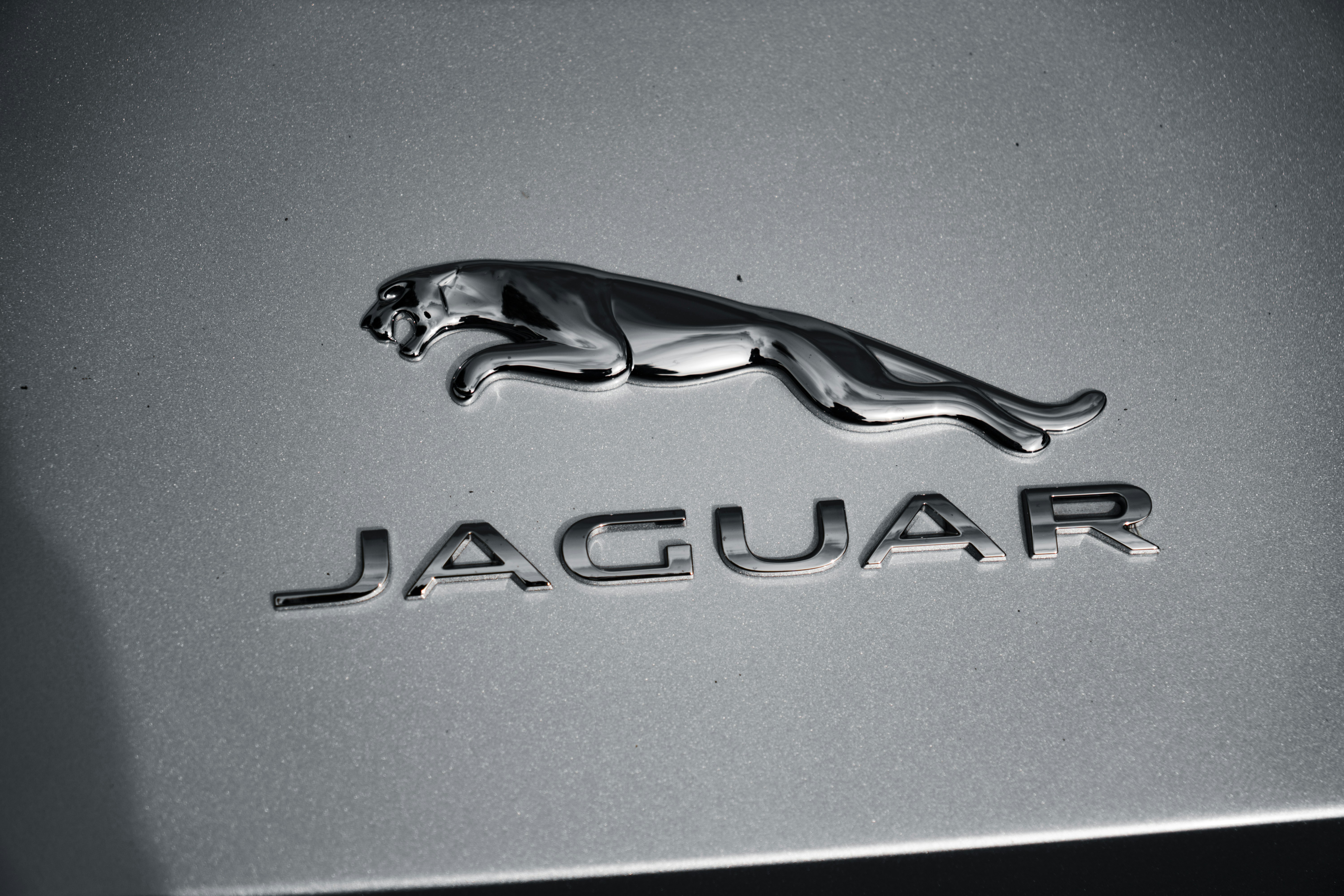 Leaping Jaguar Emblem: Chrome on a Silver Hood