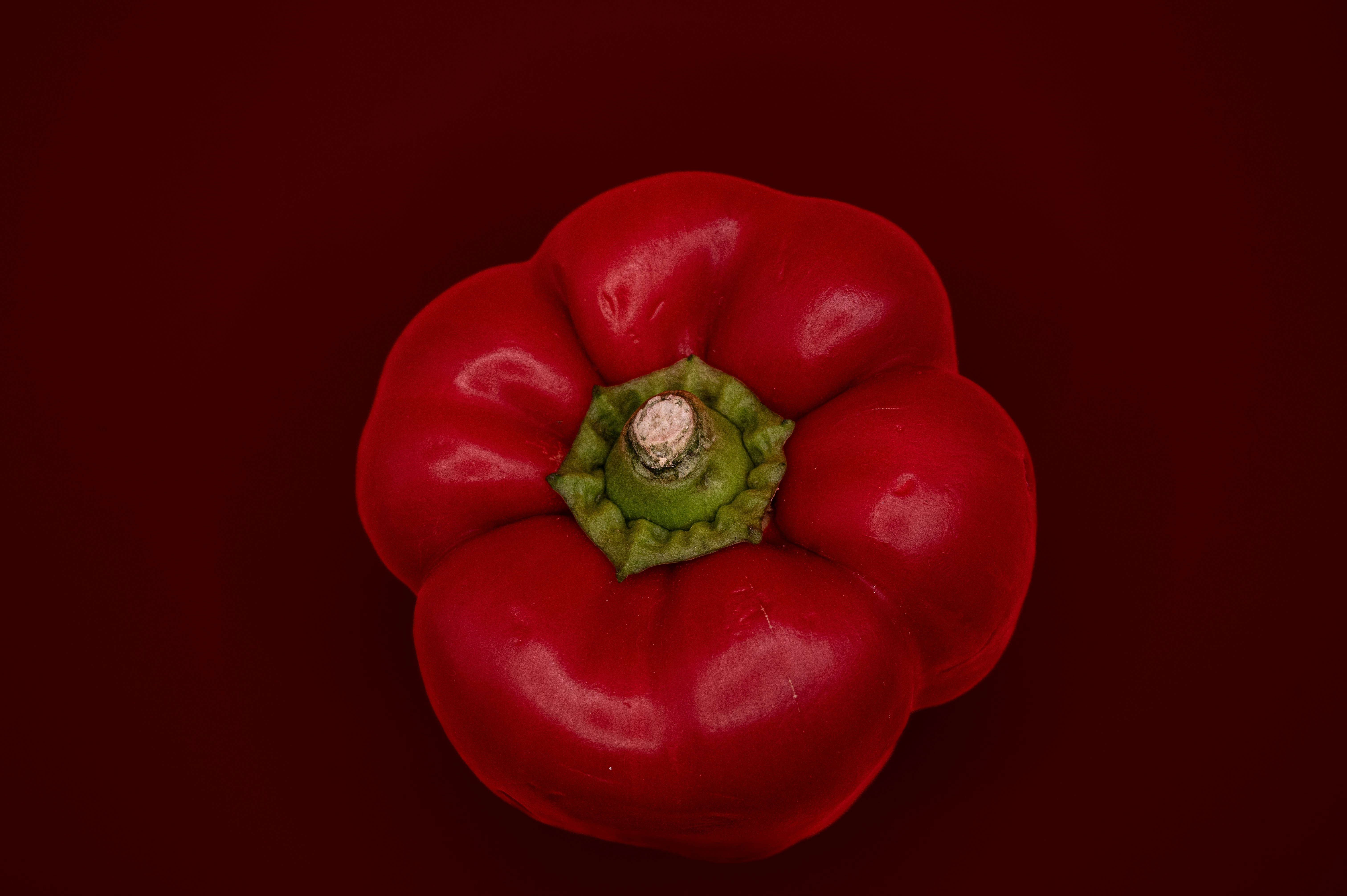 Crimson Bell Pepper, Centerstage in Rich Cyan-Red Void