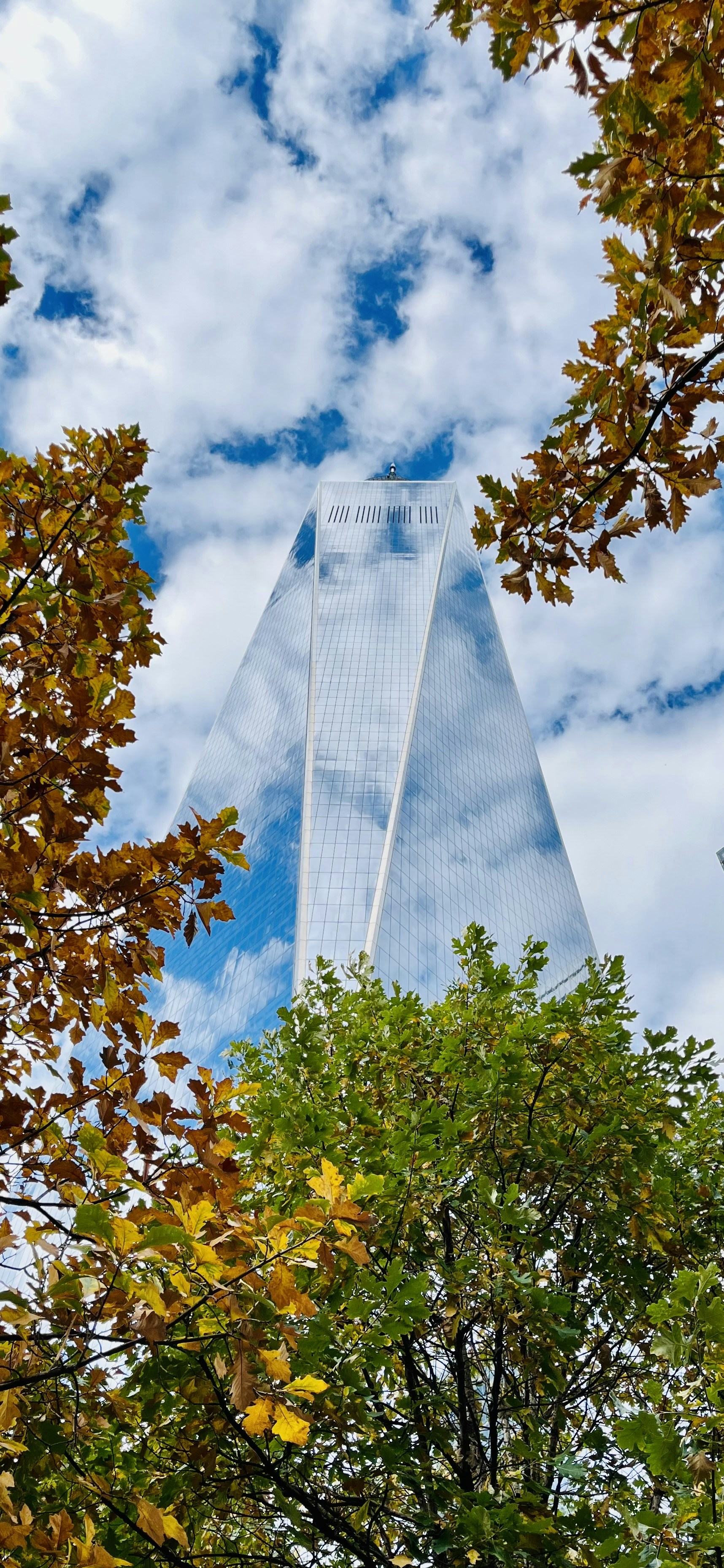 A very tall building towering over a tree filled forest photo – Free ...