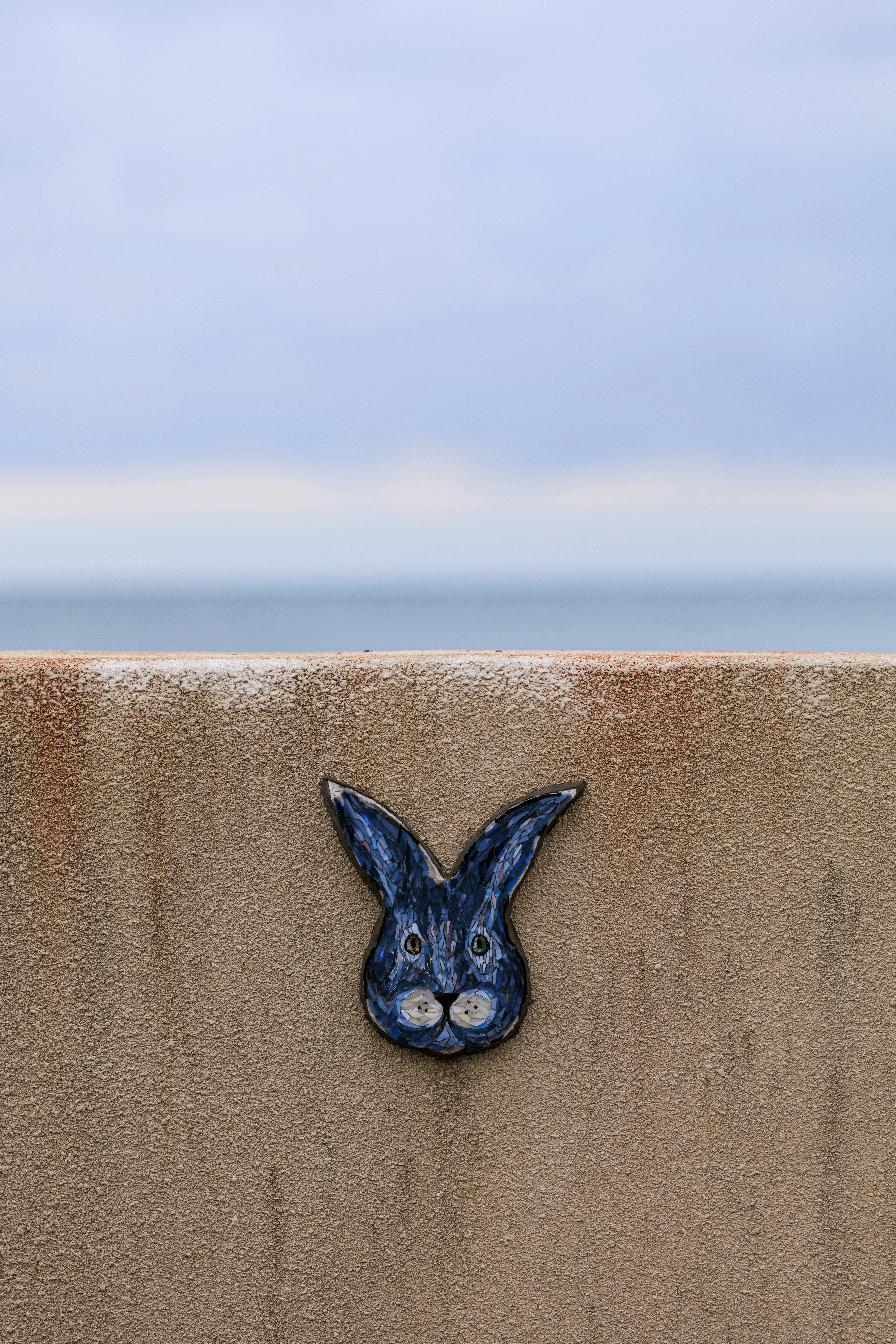 A blue rabbit head on the side of a wall photo – Free Svetlogorsk Image ...