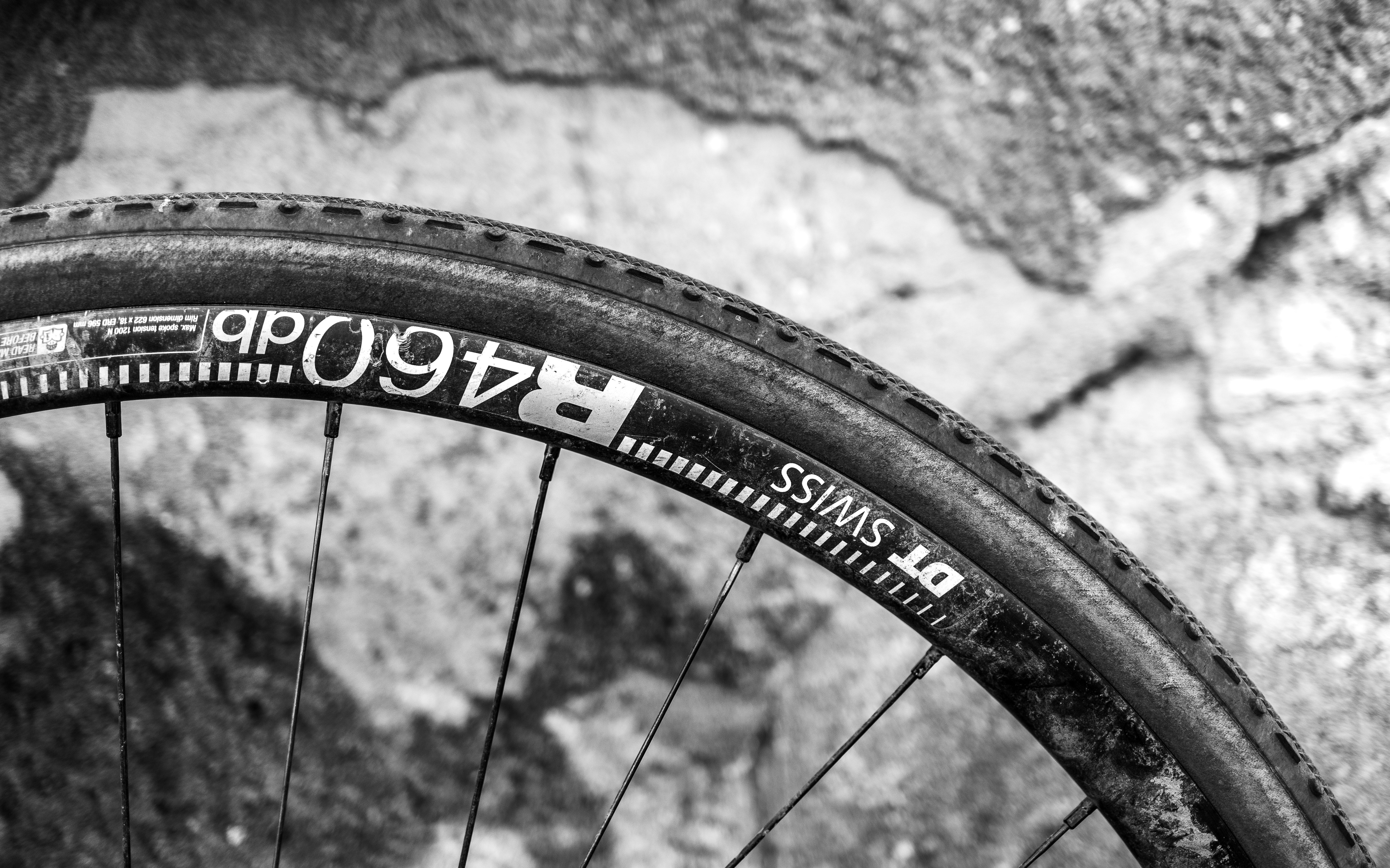 Cracked Asphalt, Worn Tread: A Black-and-White Close-Up of a Bicycle Tire