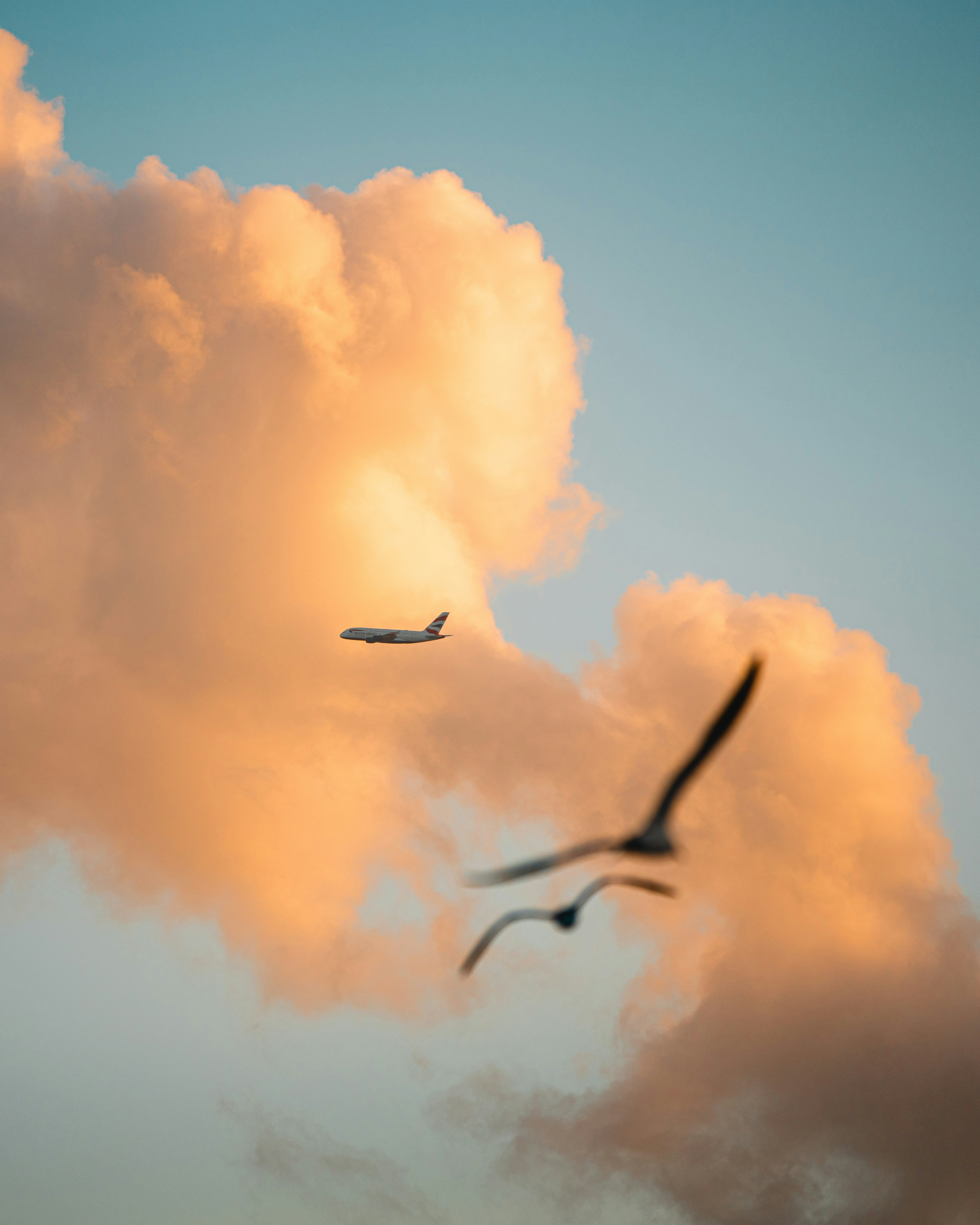 Jet in the Coral Dawn: A Distant Aircraft in Soft Cloudscape