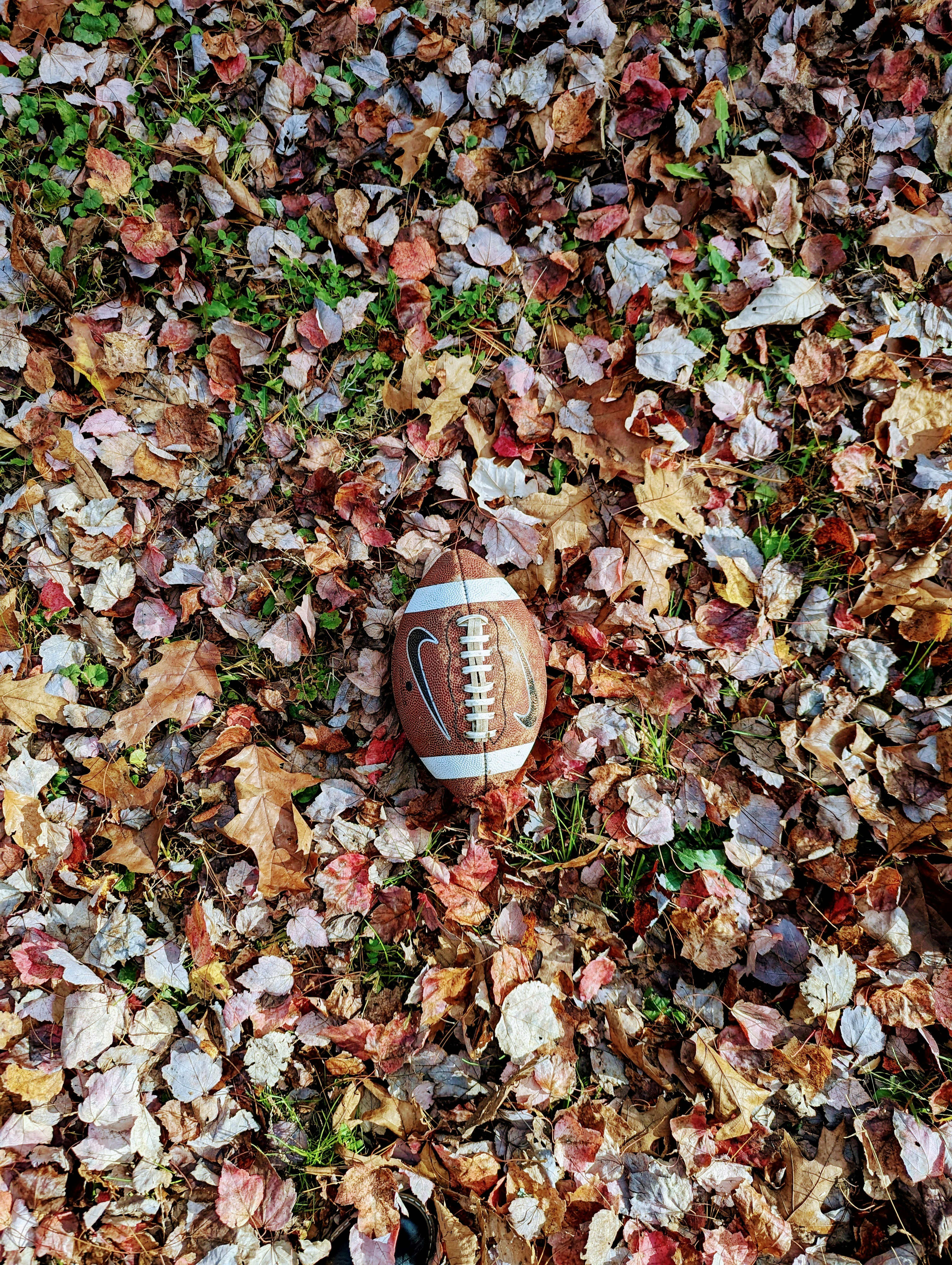 a football laying on top of a pile of leaves