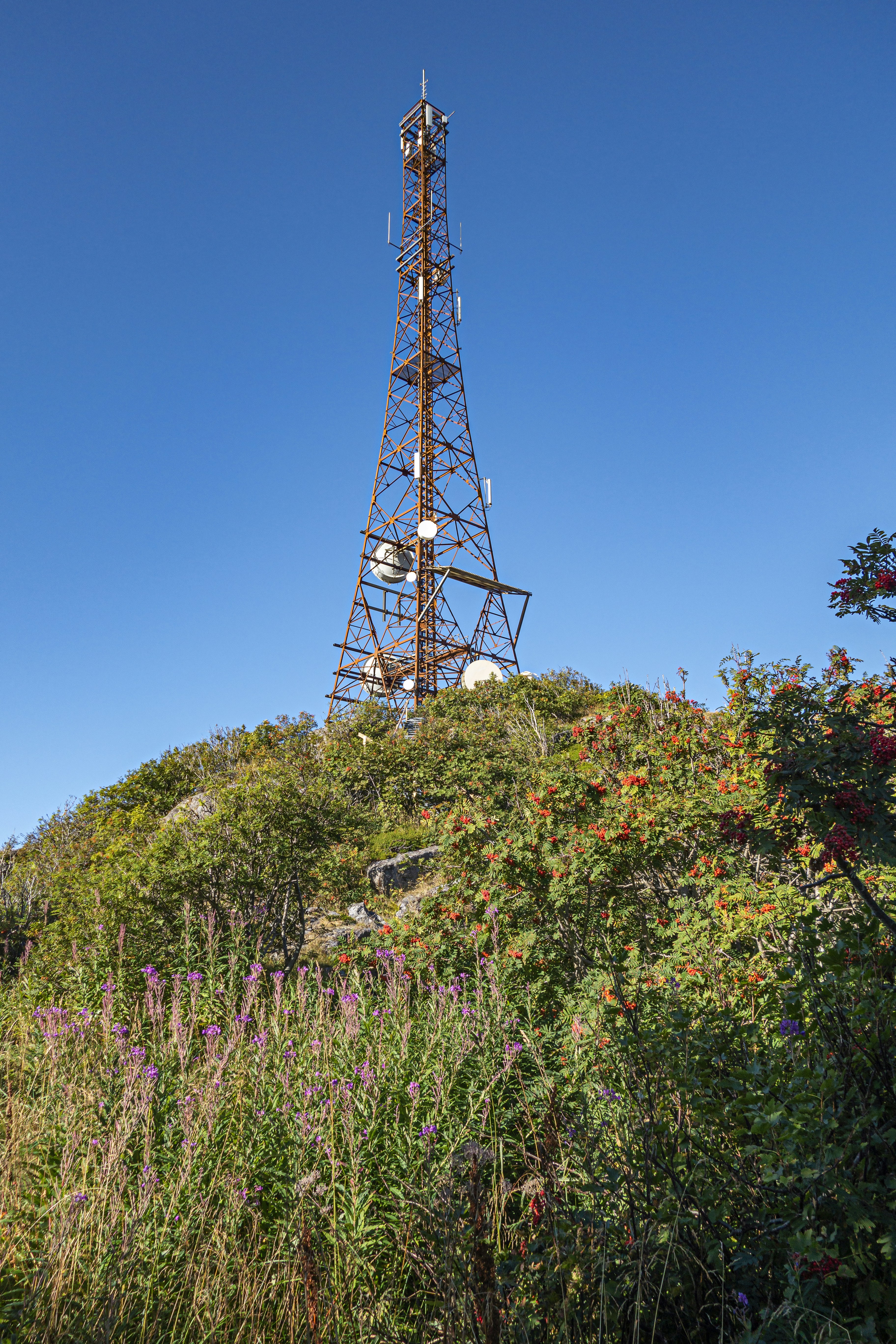 Lattice Sentinel on a Blooming Hill under a Cerulean Sky