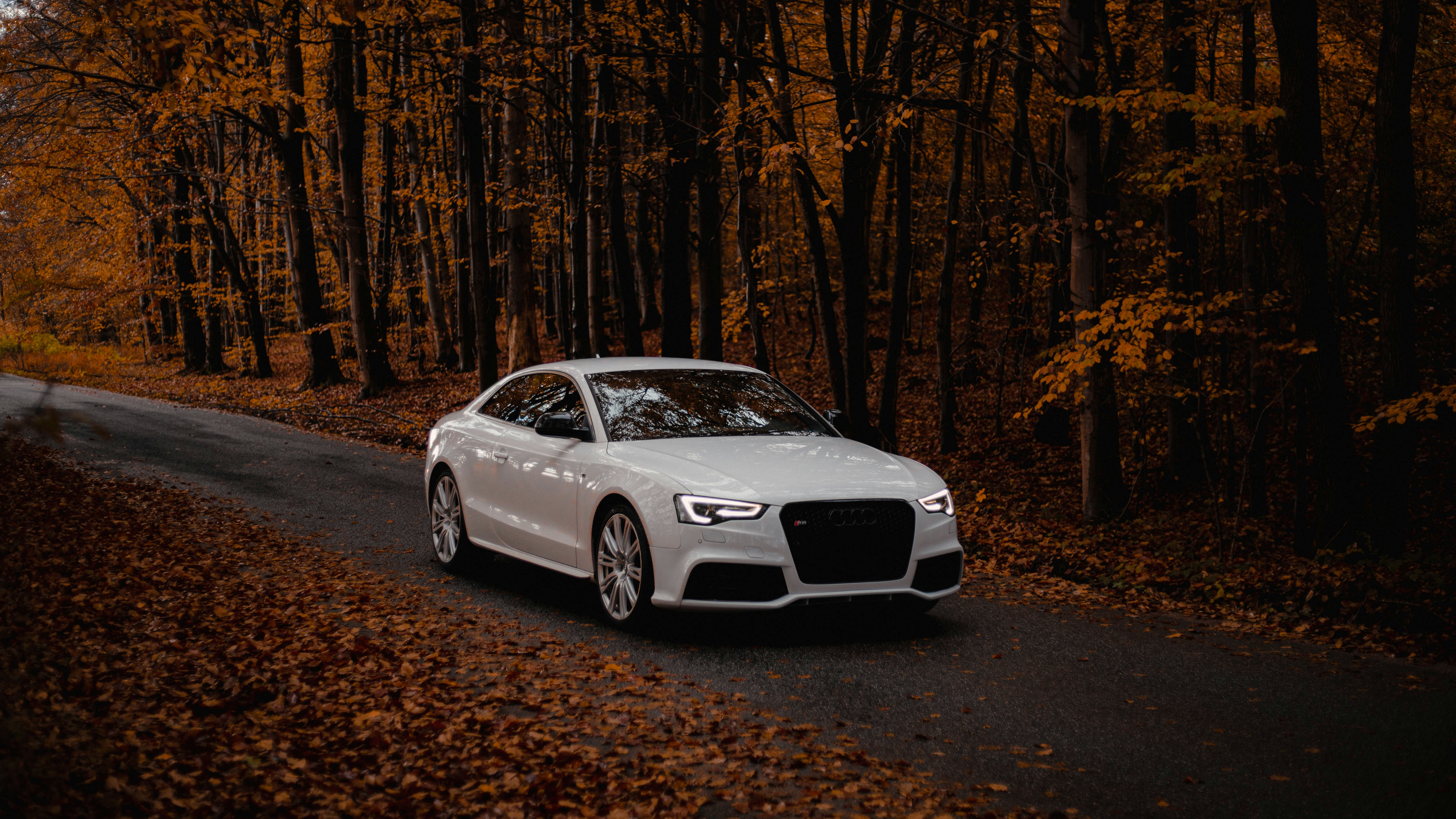 A white car driving down a road surrounded by trees photo – Free Car ...
