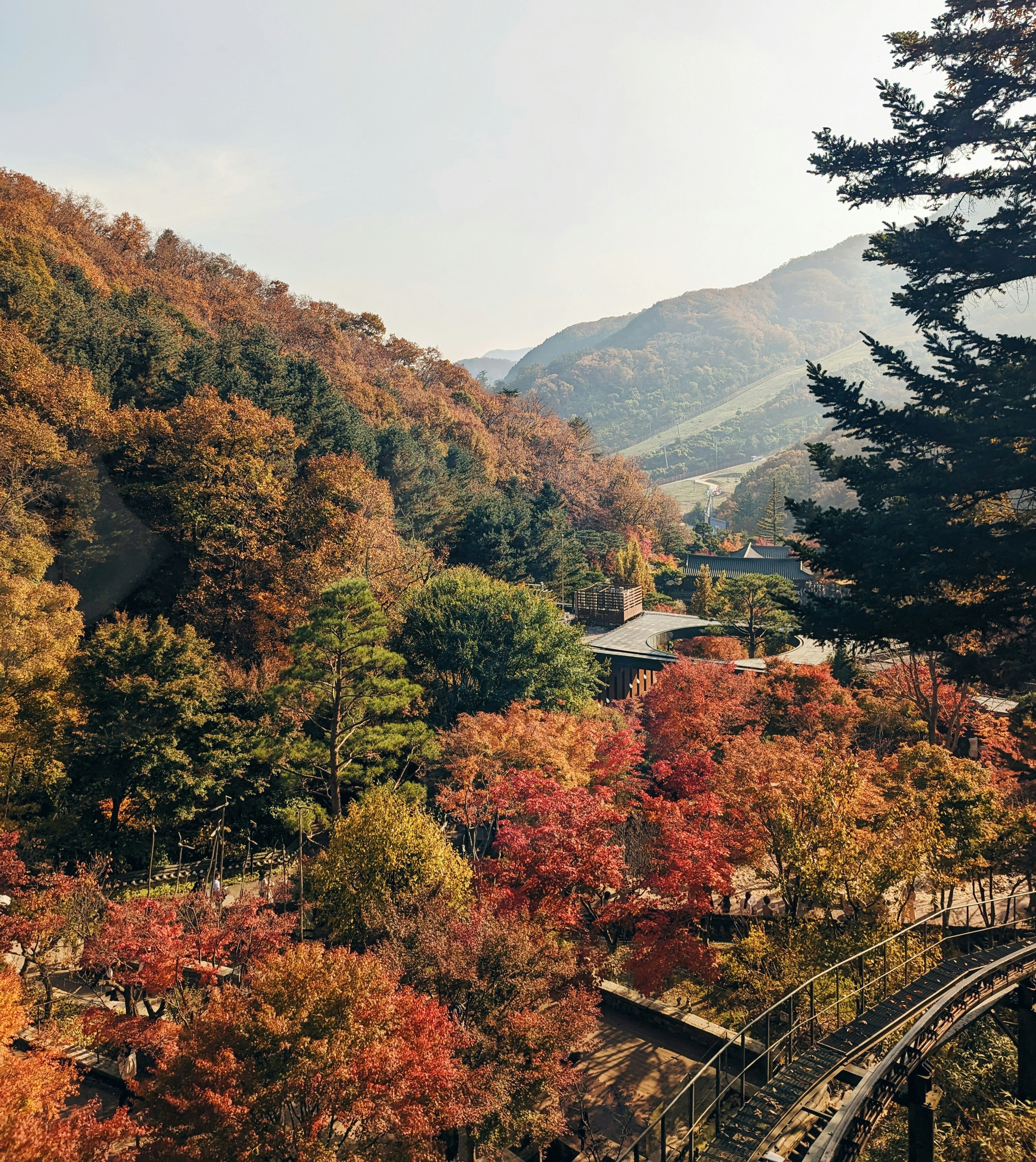 Ember-Leaf Ridge: Autumn Canopy Framing a Mountain Vista