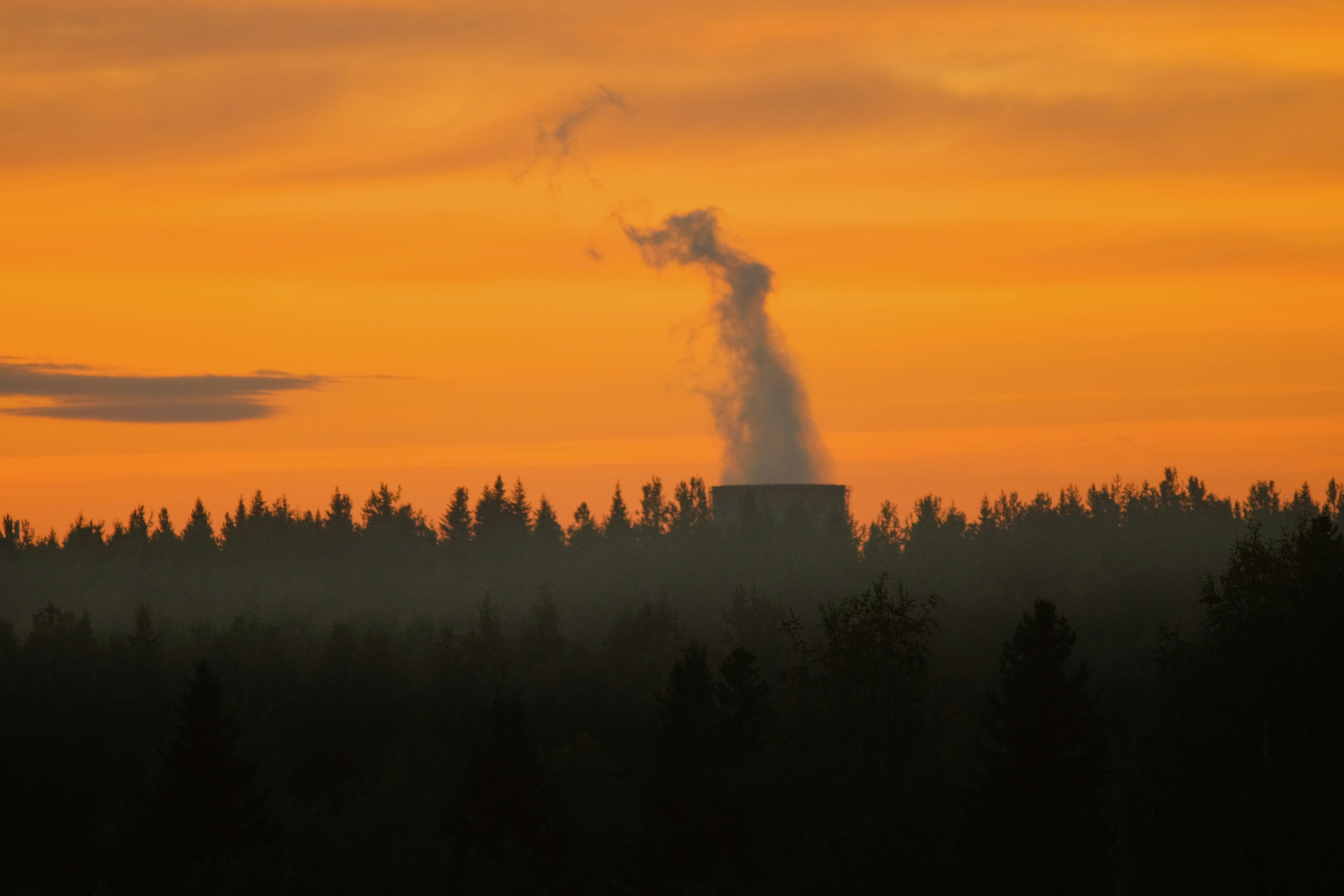 Dusk Over Pines: A Smokestack's Quiet Veil