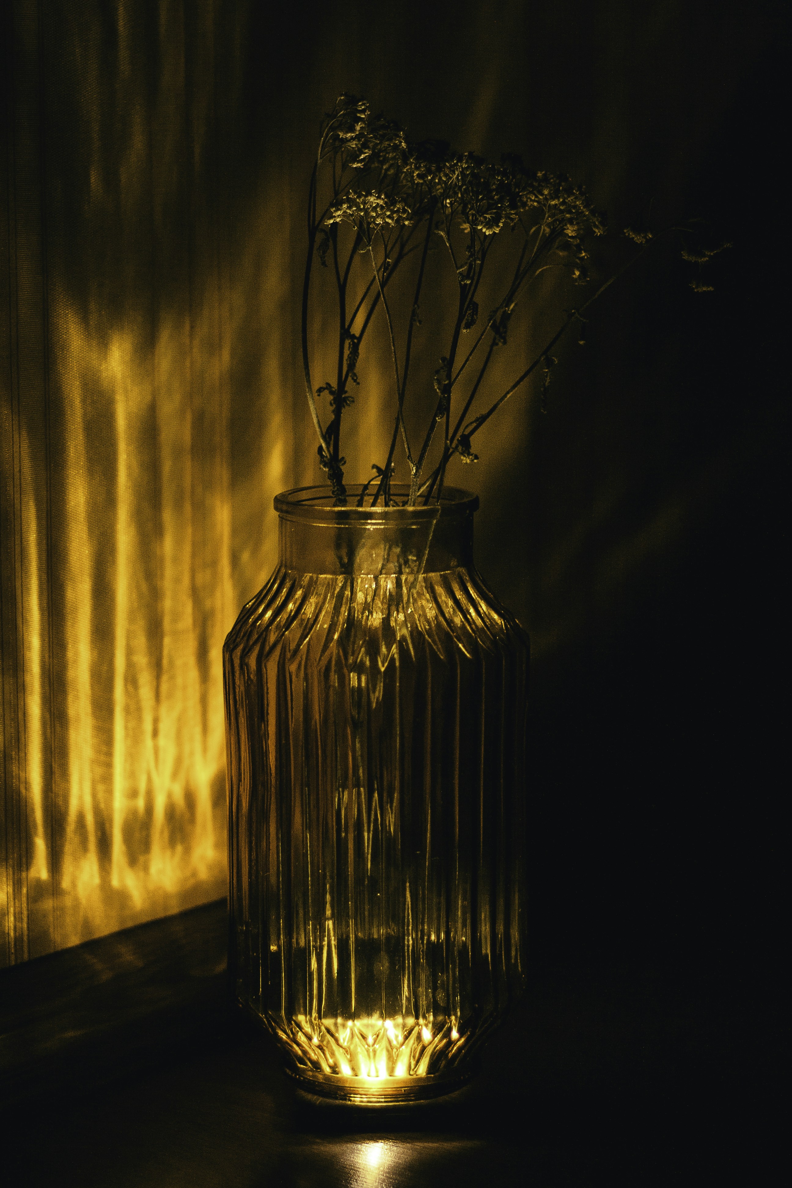 Photo by ANHELINA OSAULENKO with Canon EOS 1000D