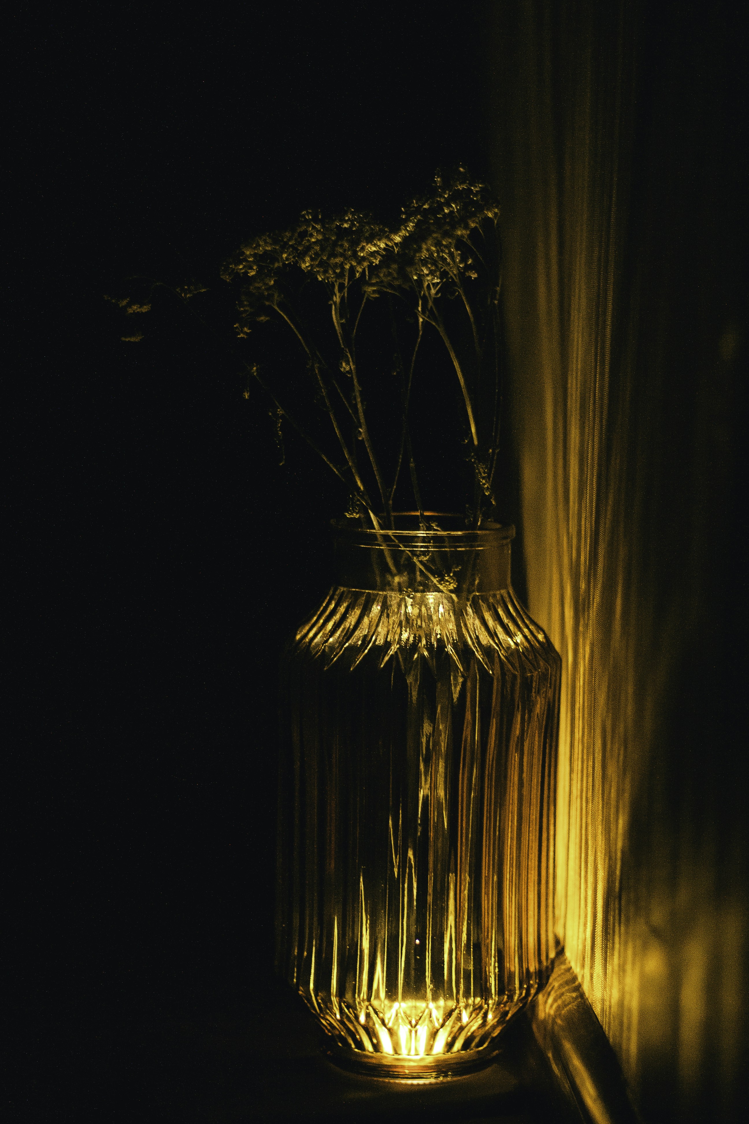 Ribbed Glass Jar Basking in Warm Light Along a Dark Wall