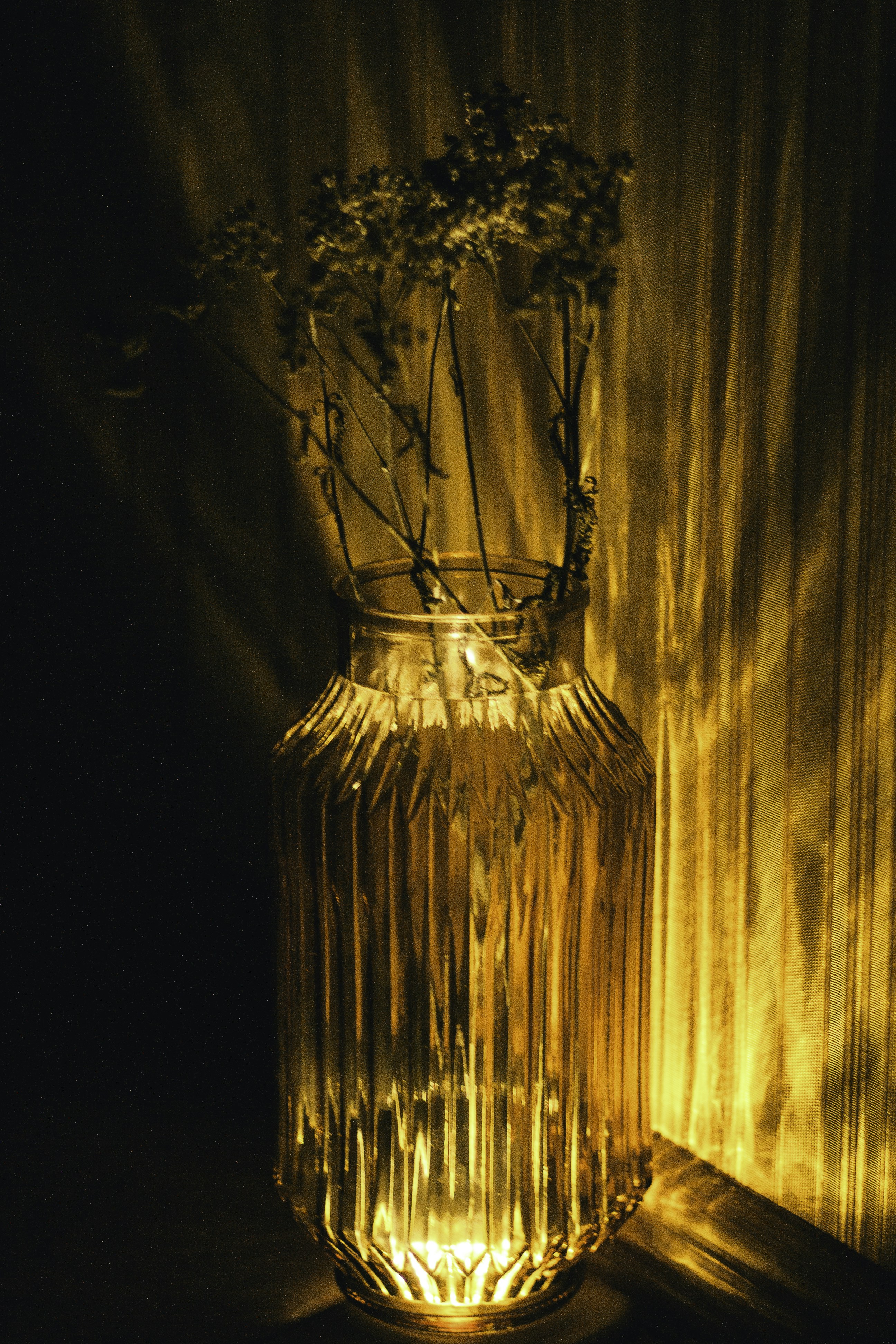 Amber Faceted Vase with Dried Sprigs: Quiet Light on a Textured Backdrop