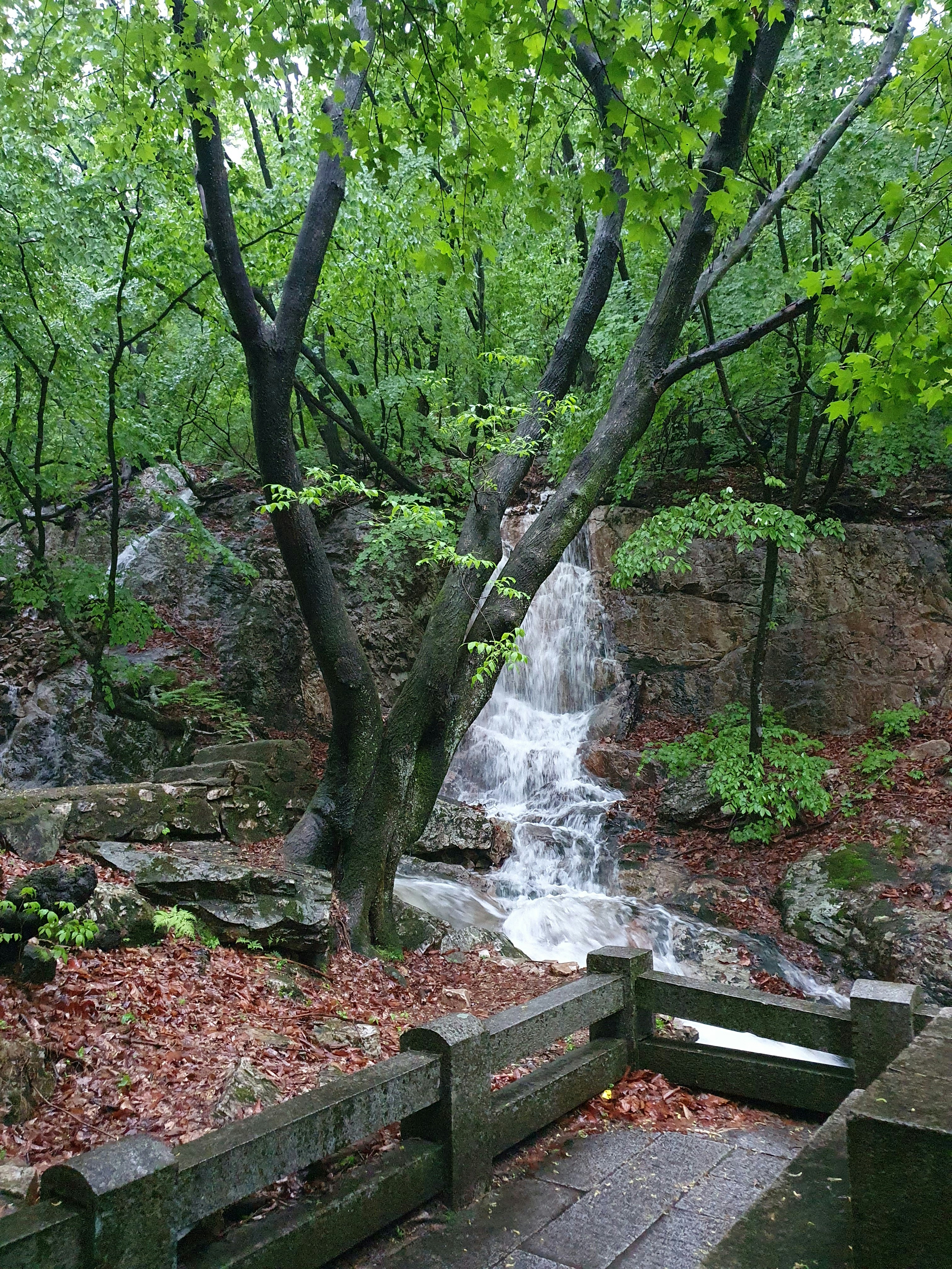 Photo by Chul Hyoung (William) Lee with Samsung Galaxy S10