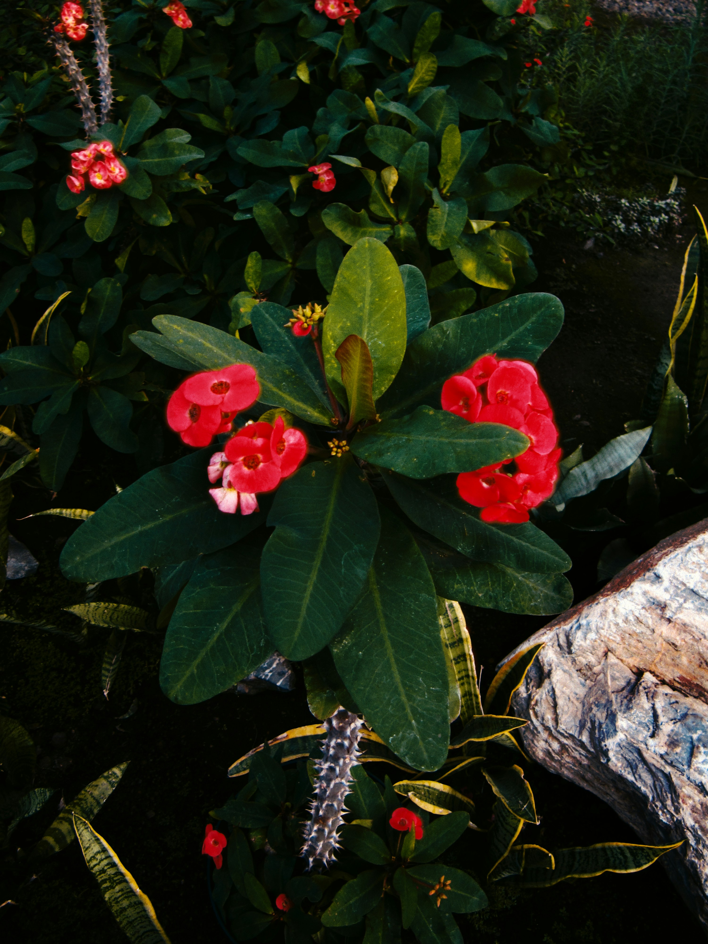 Photo by Egor Litvinov with Canon PowerShot SX200 IS