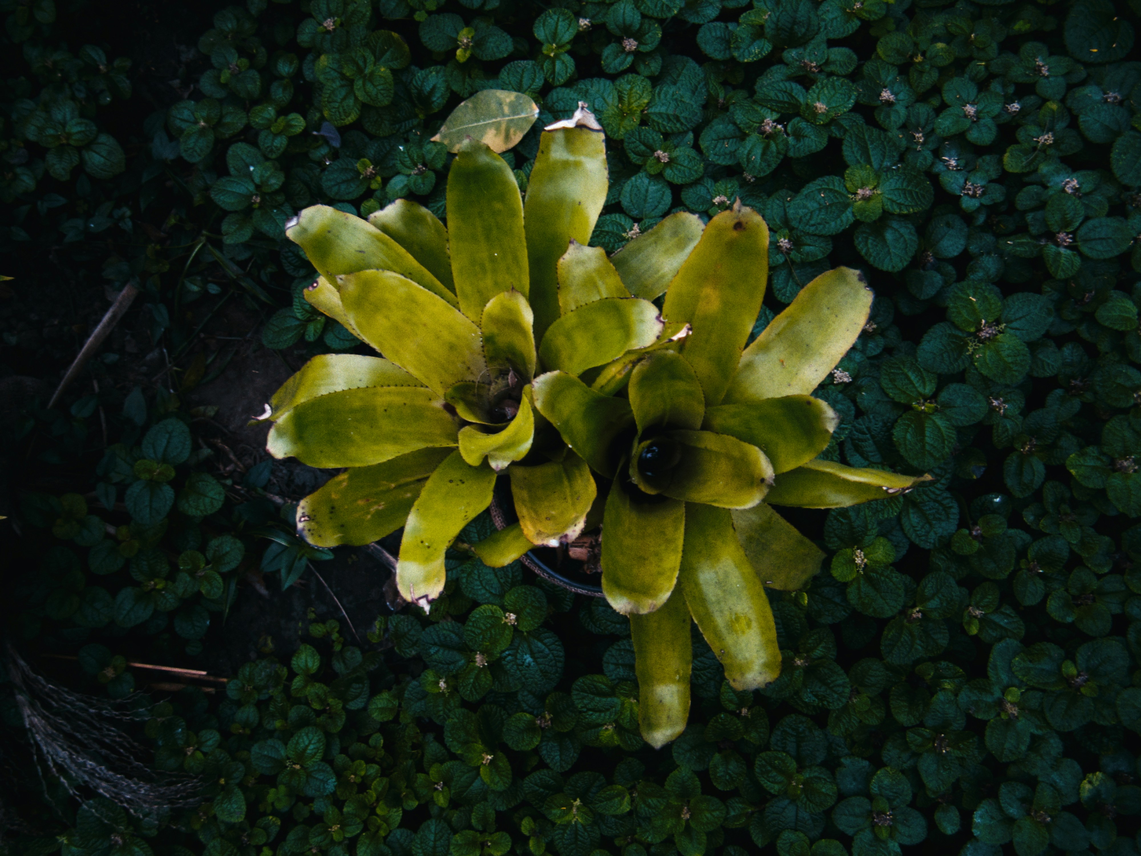 Photo by Egor Litvinov with Canon PowerShot SX200 IS