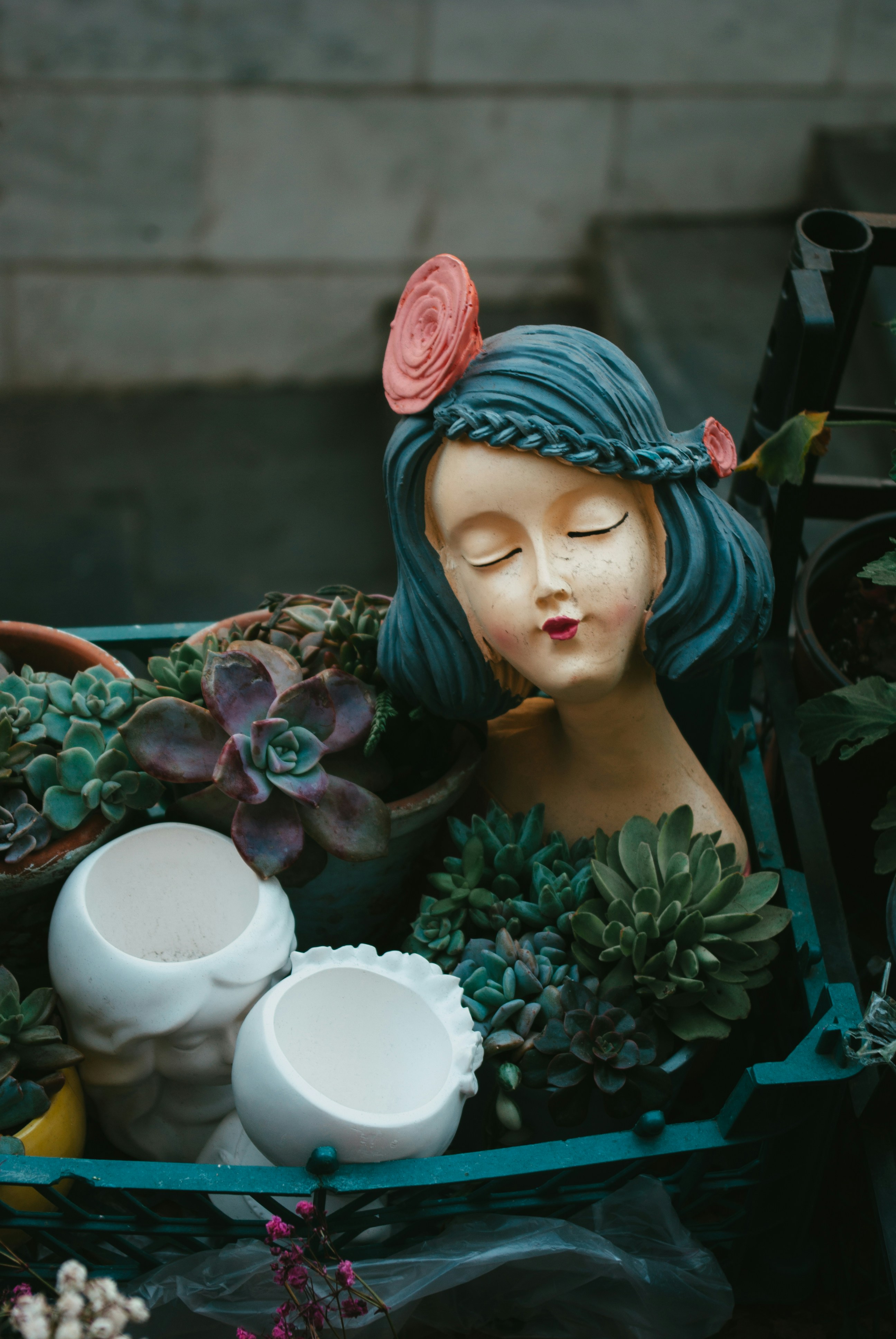 Ceramic Senses: A Serene Portrait Among Succulents