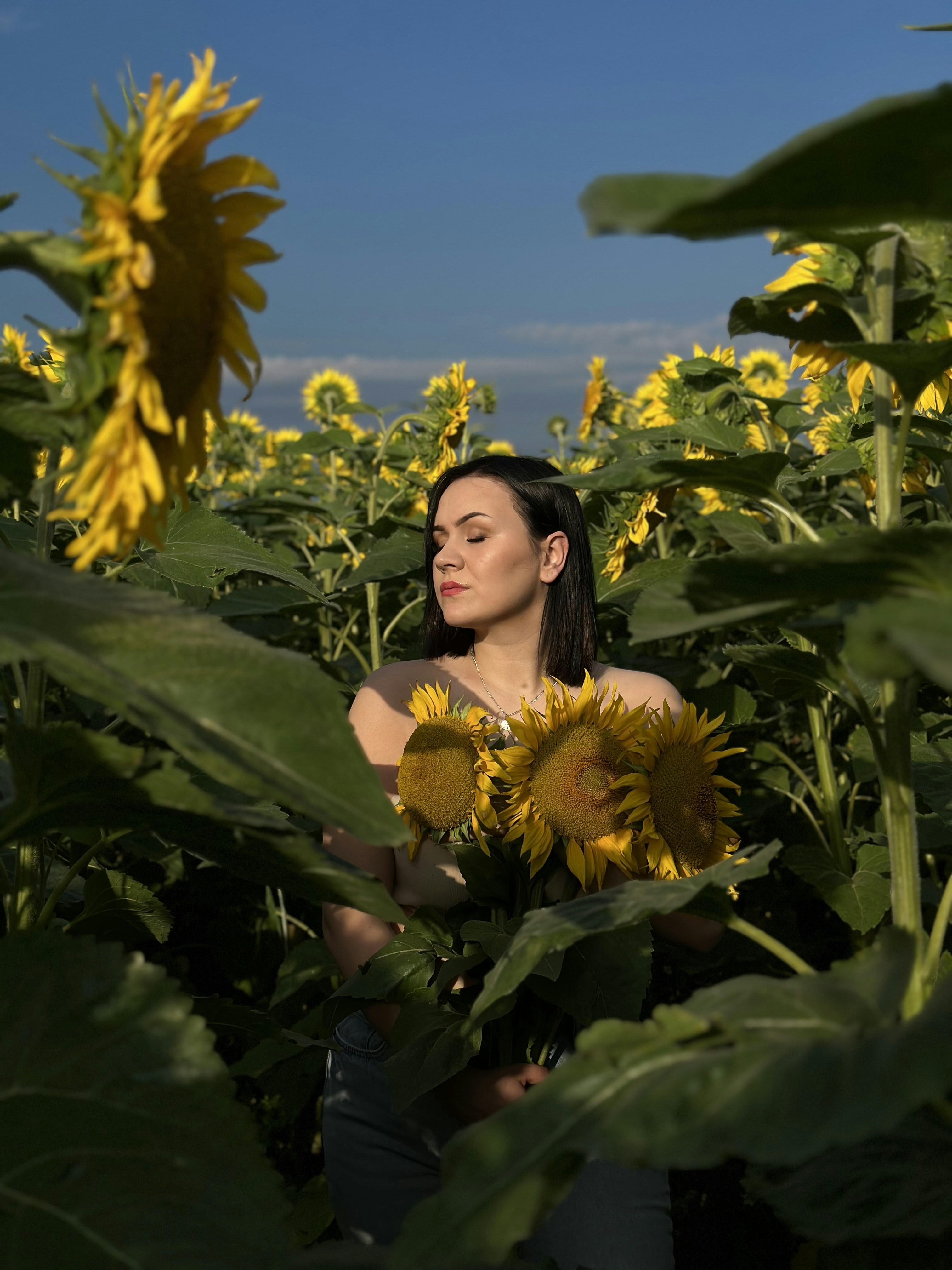 A woman standing in a field of sunflowers photo – Free Flower Image on ...