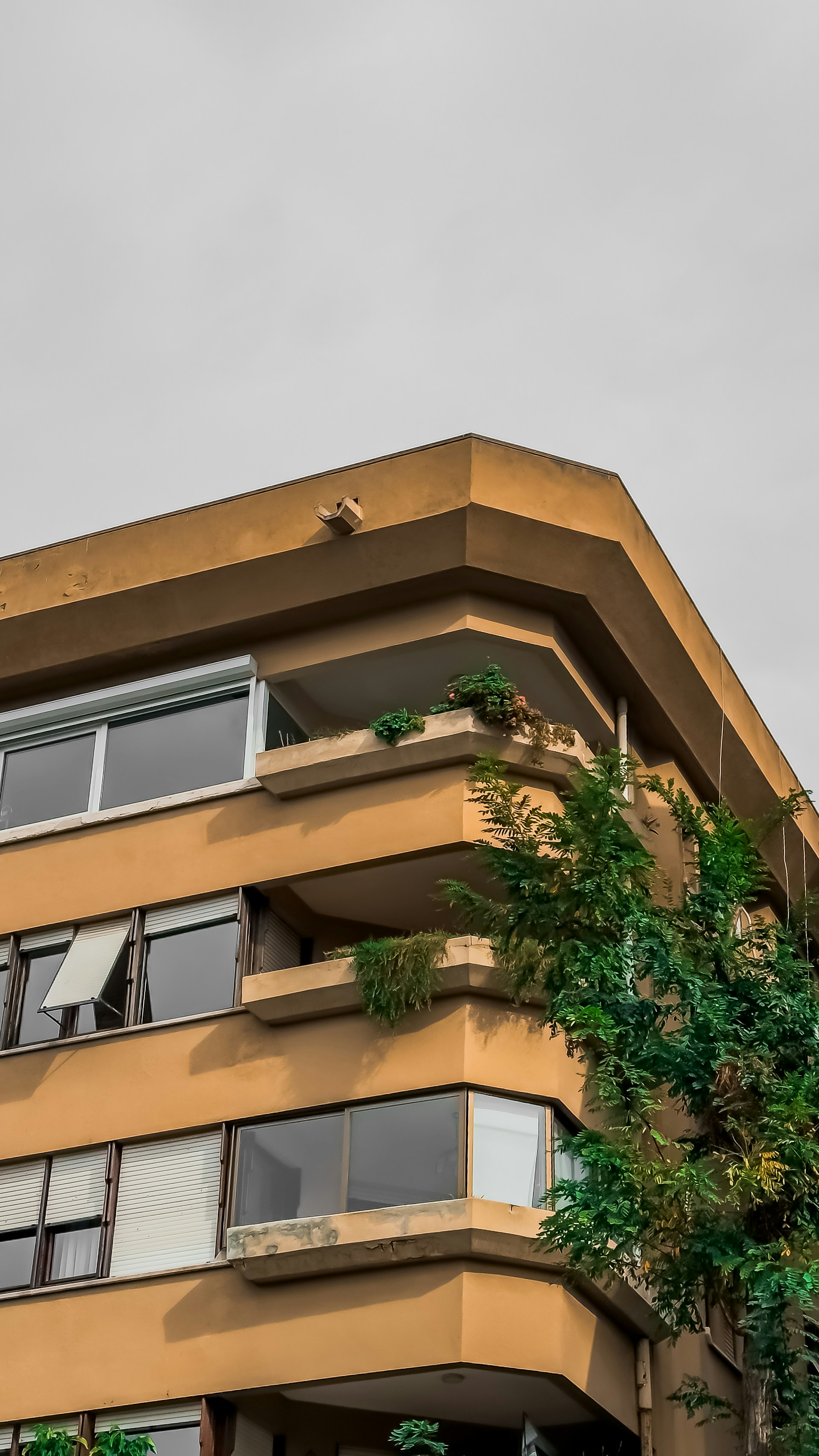 Ivy-Framed Corner: Angular Balance on an Orange Facade